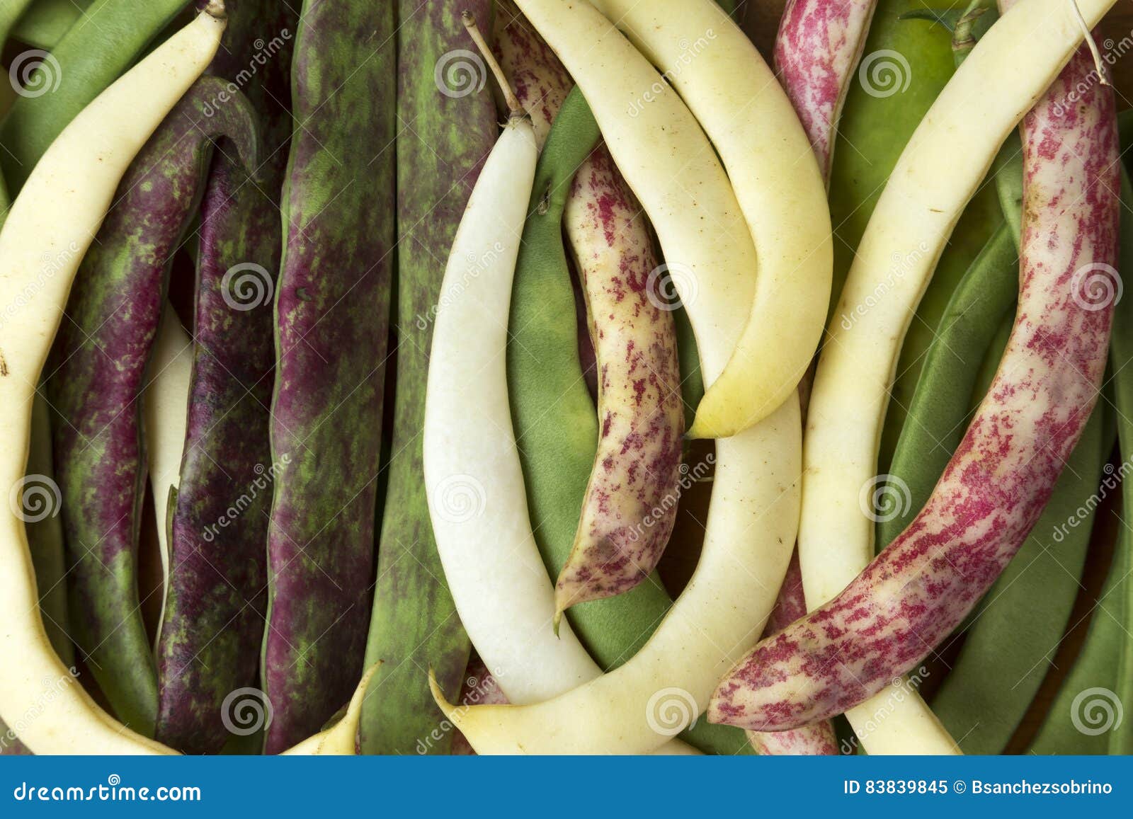 Bean Pods of Different Types and Colors Stock Image - Image of beans ...
