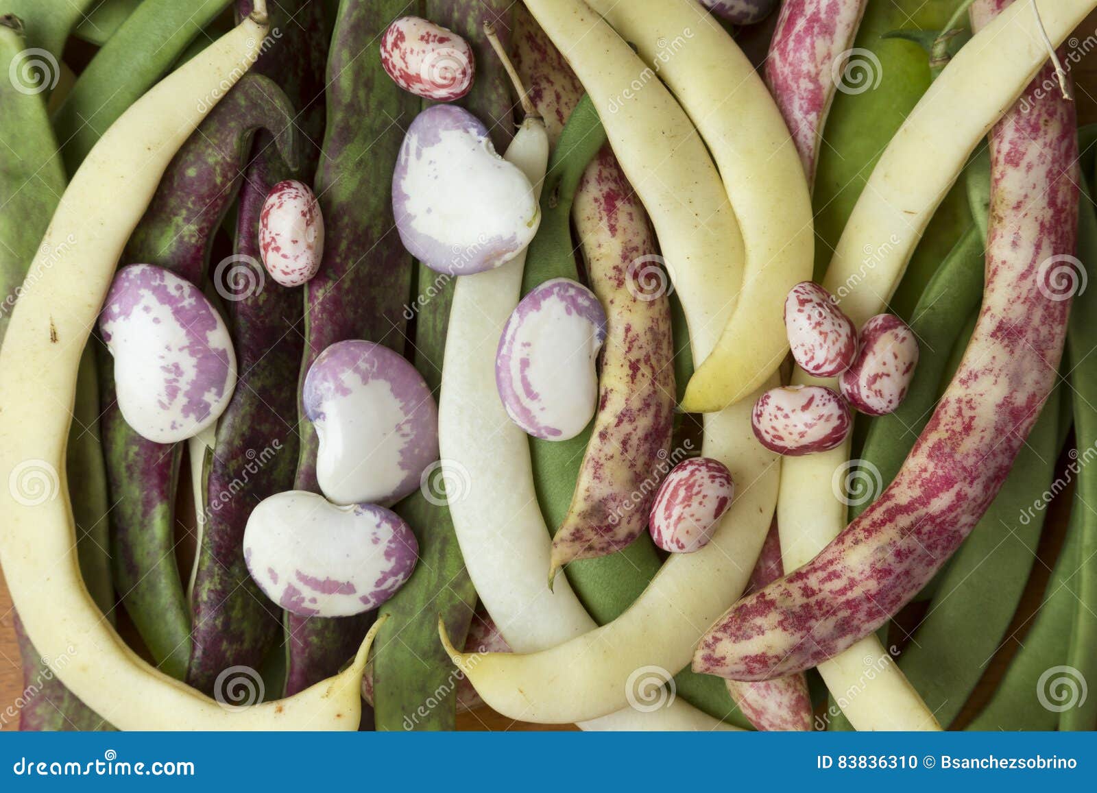Bean Pods of Different Types and Colors Stock Photo - Image of food ...