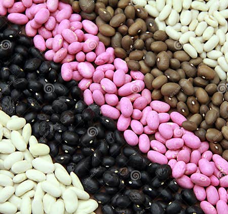 Bean seeds stock photo. Image of trade, background, gardening - 18168336