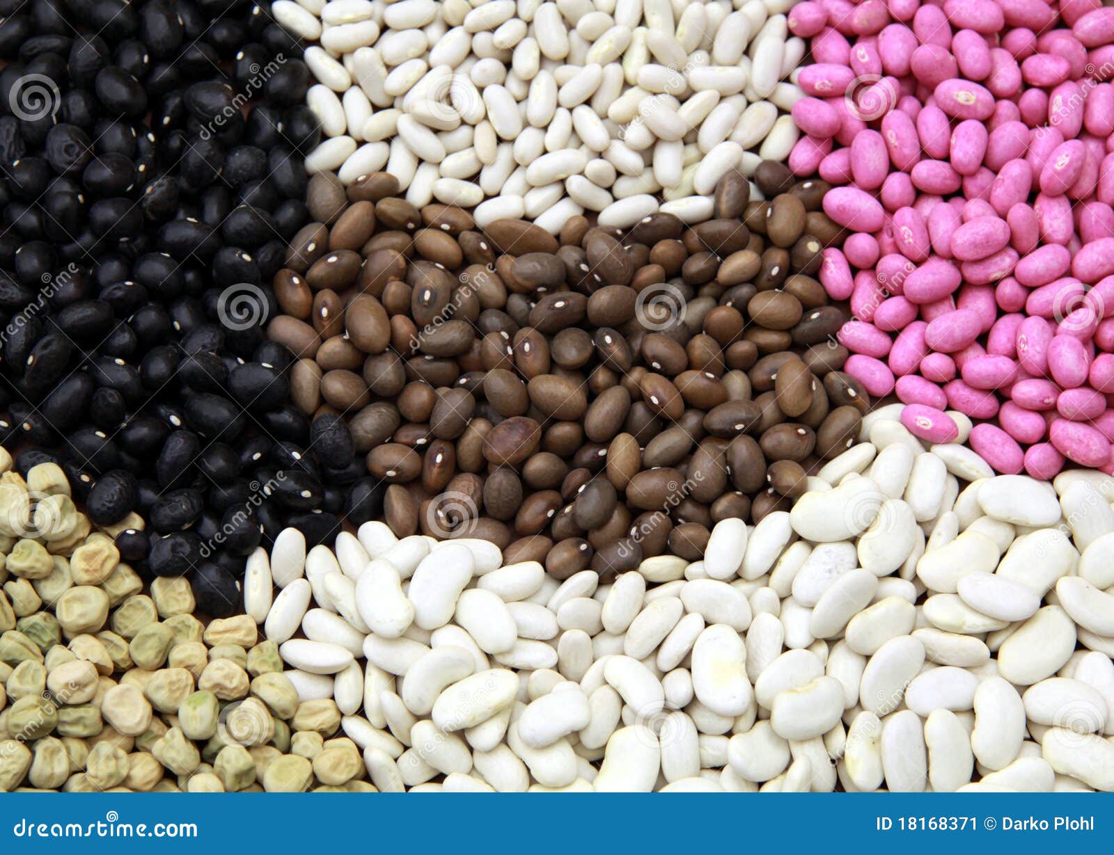 Bean seeds stock image. Image of production, produce - 18168371