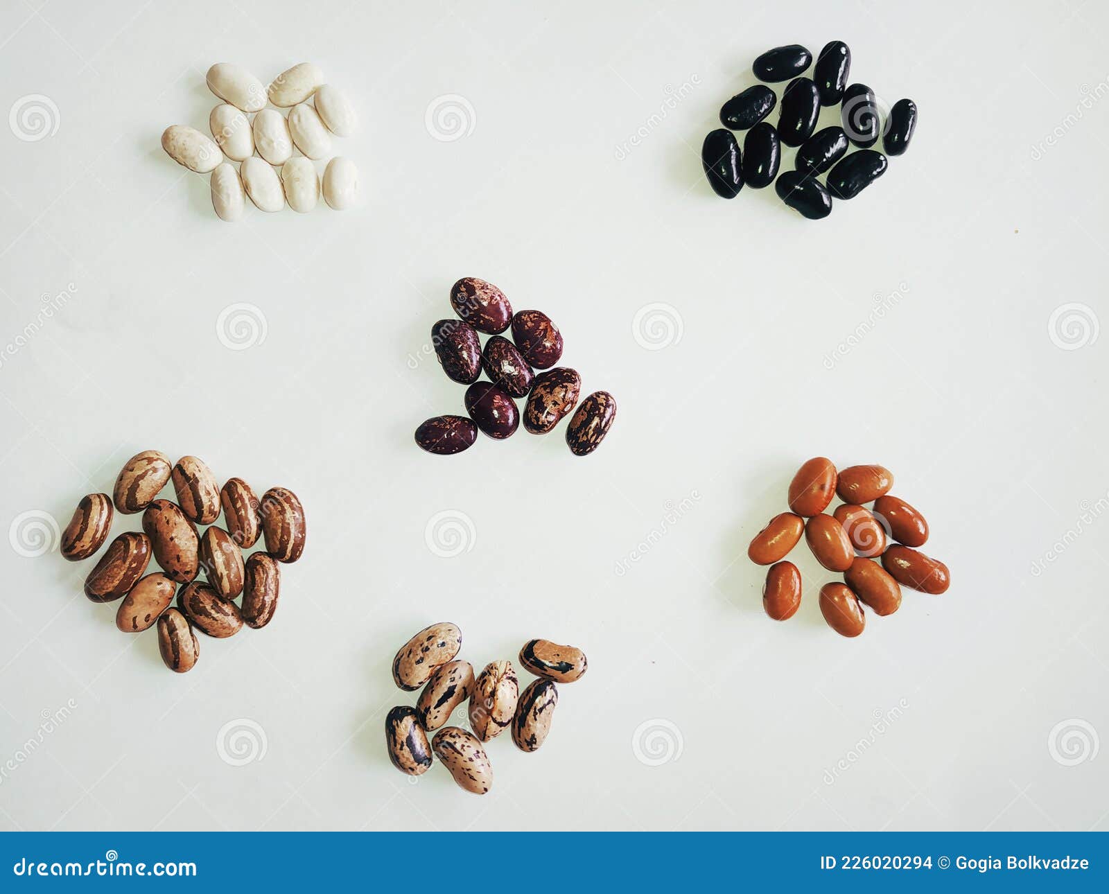 Bean Seeds. Different Varieties of Beans. Stock Photo - Image of bean ...