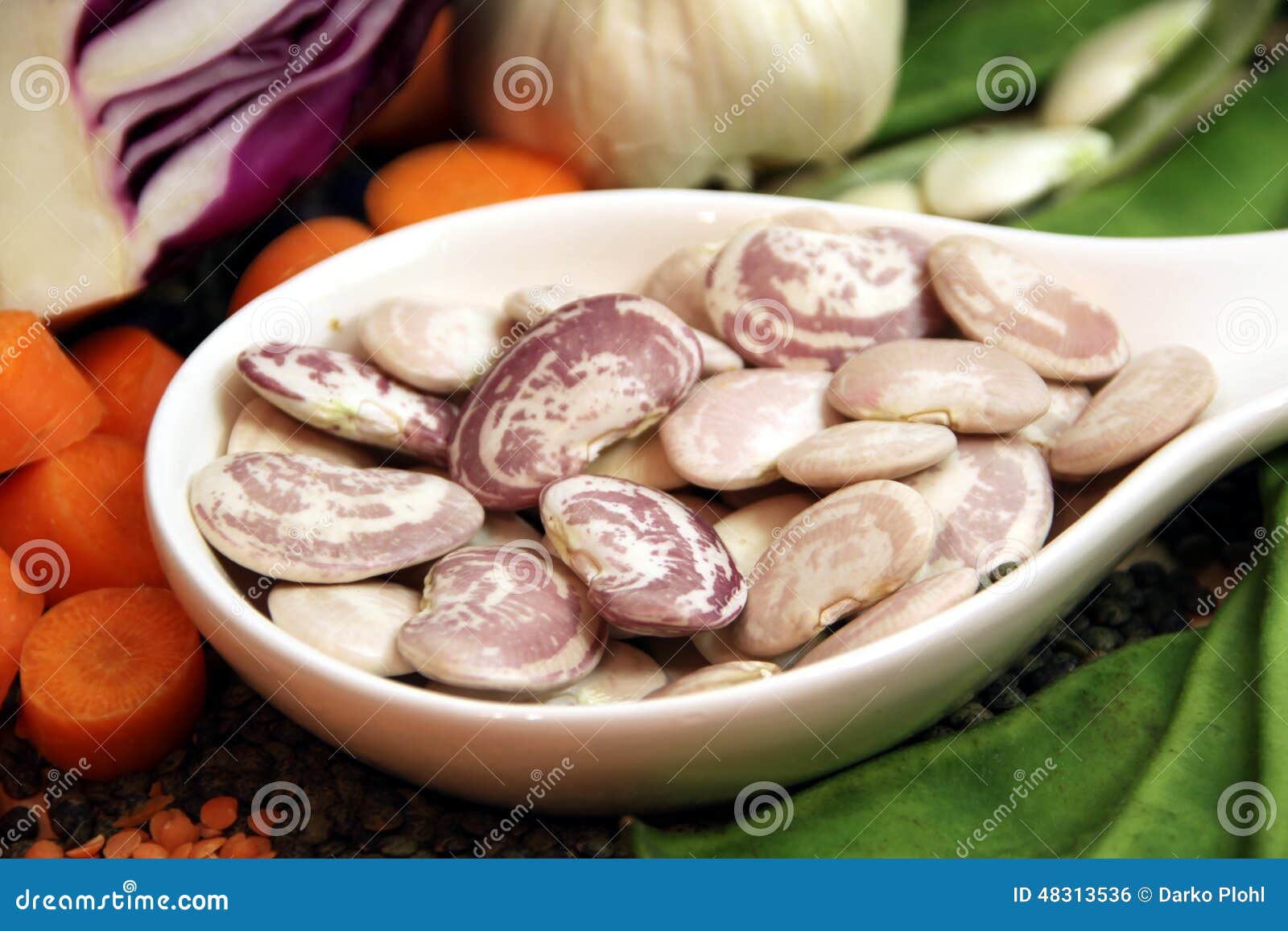 Bean seeds stock photo. Image of vulgaris, autumn, cook - 48313536