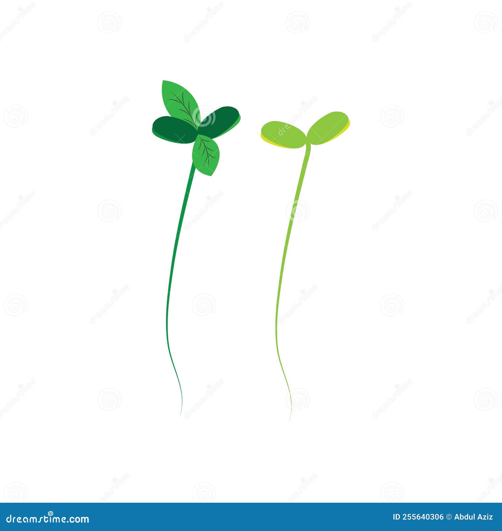 Bean Sprout Illustration Free Stock Vector - Illustration of cooking ...