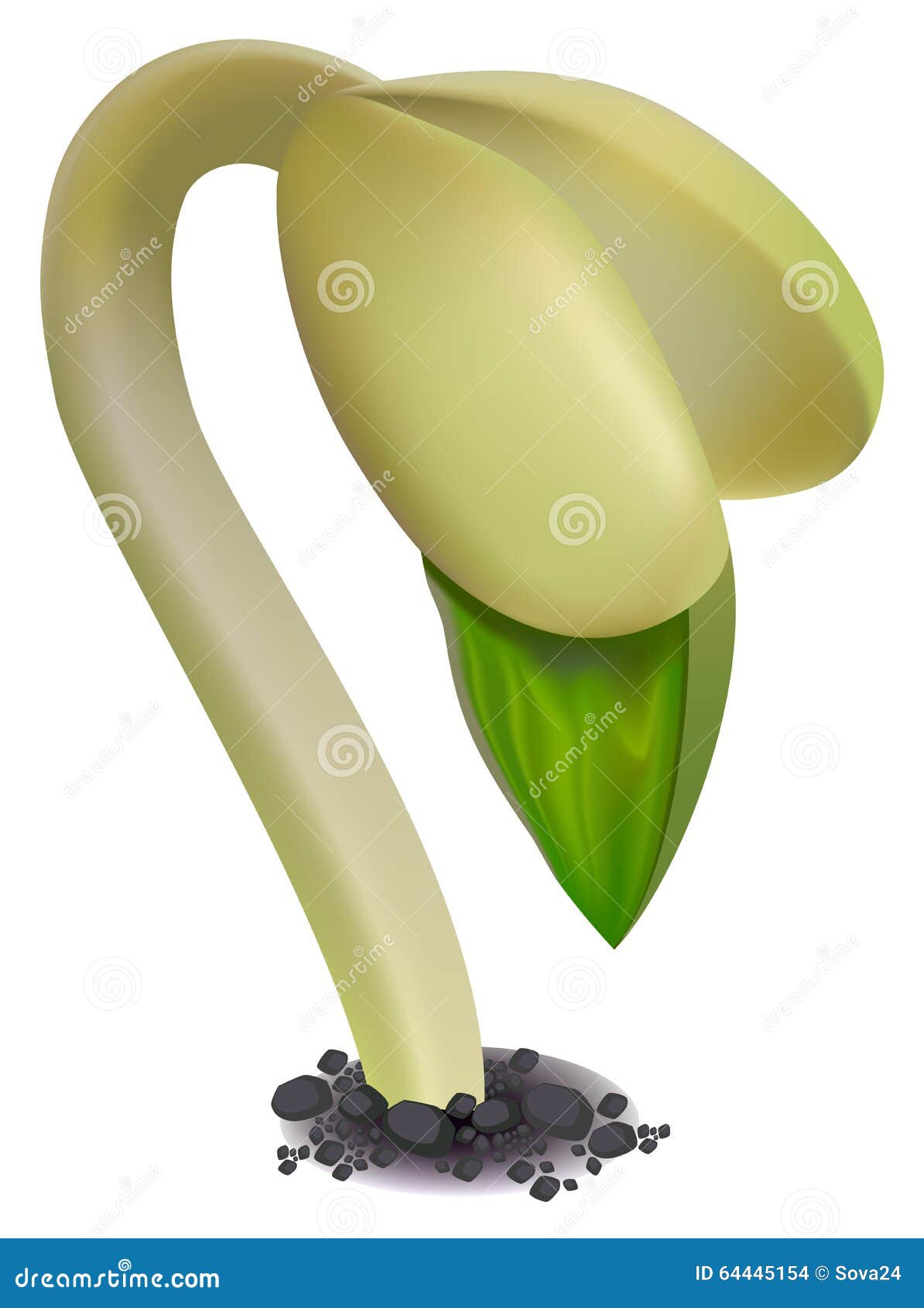 Bean Sprout With Castle In The Clouds Cartoon Vector | CartoonDealer ...