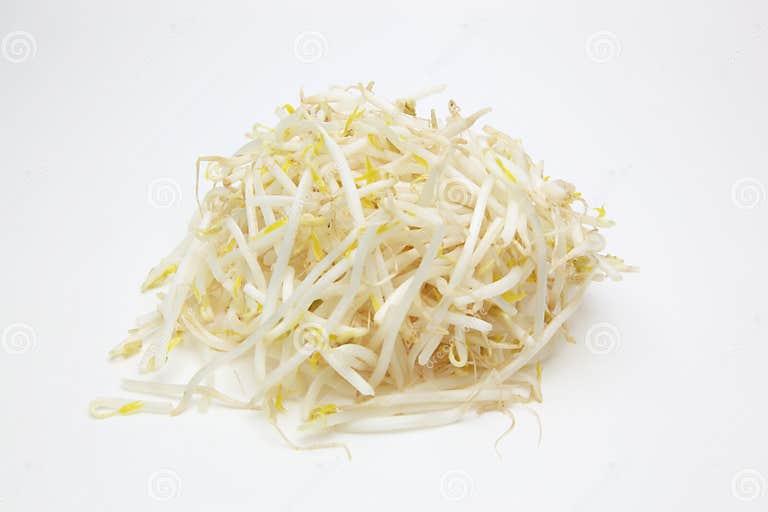 Bean Sprout in a White Background Stock Image - Image of white ...