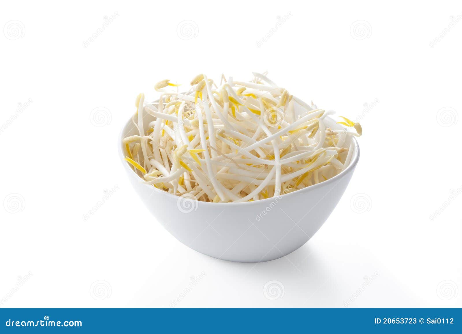 Bean Sprouts stock image. Image of diet, green, botany - 20653723