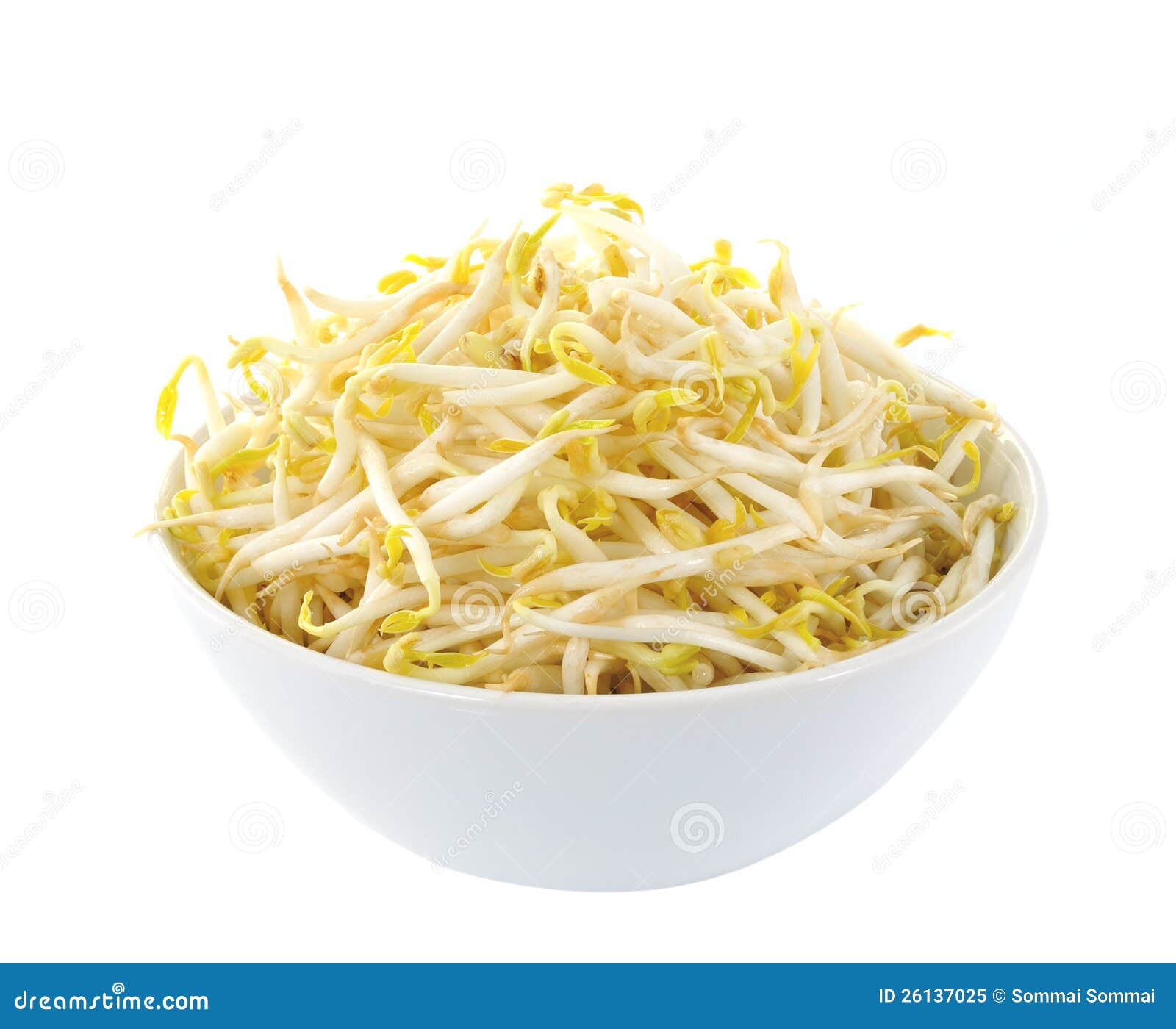 Bean Sprouts stock image. Image of conceptual, soybean - 26137025