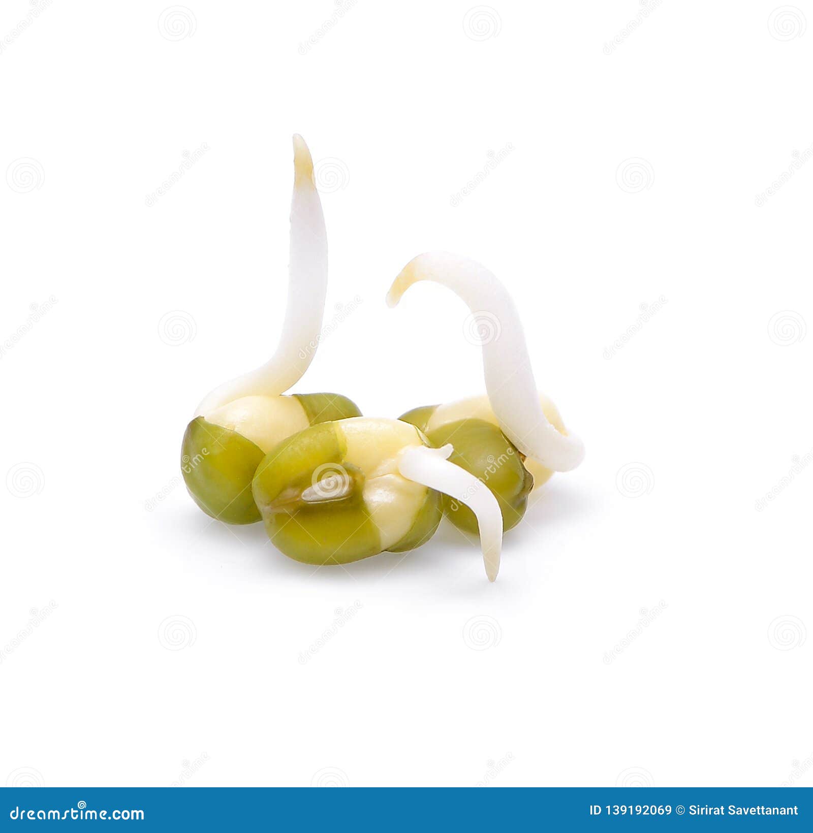 Bean Sprouts ,Baby Beans on White Background Stock Image - Image of ...