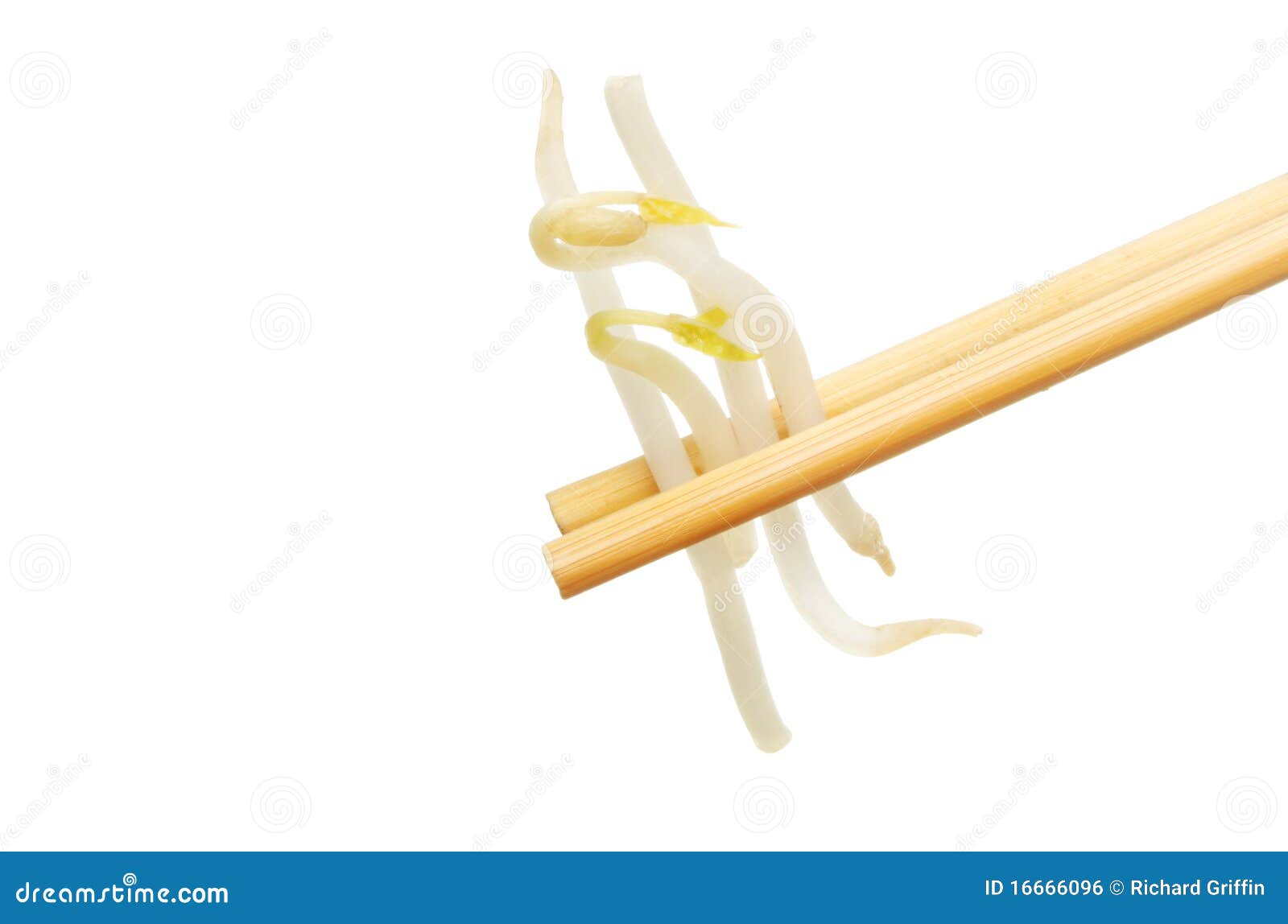 Bean sprouts in chopsticks stock photo. Image of food - 16666096