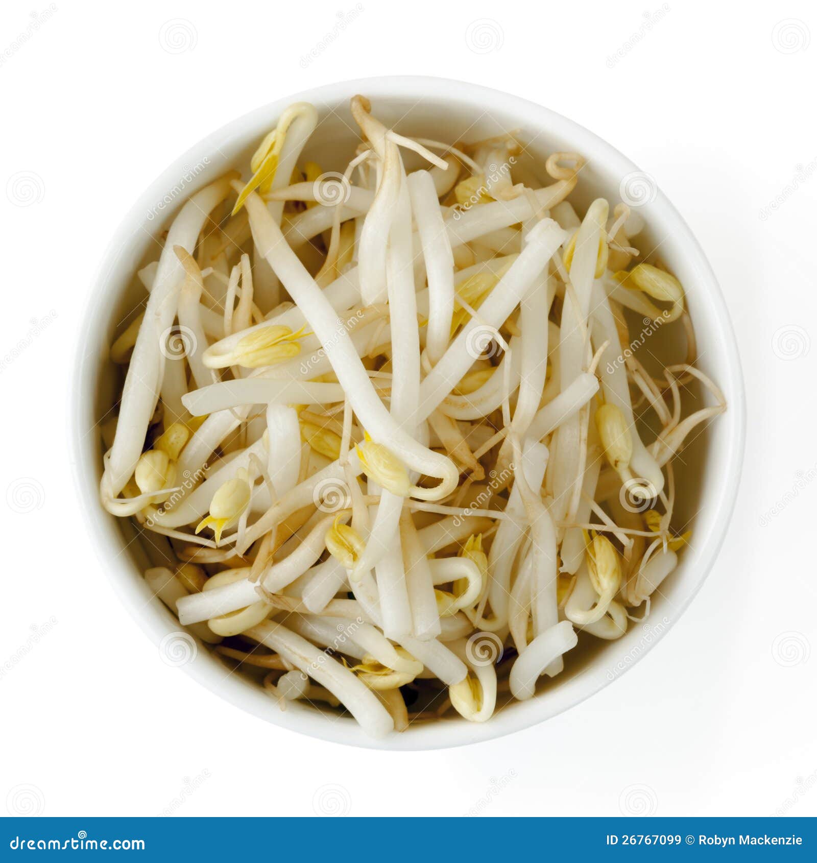 Bean Sprouts Isolated stock image. Image of asian, square - 26767099