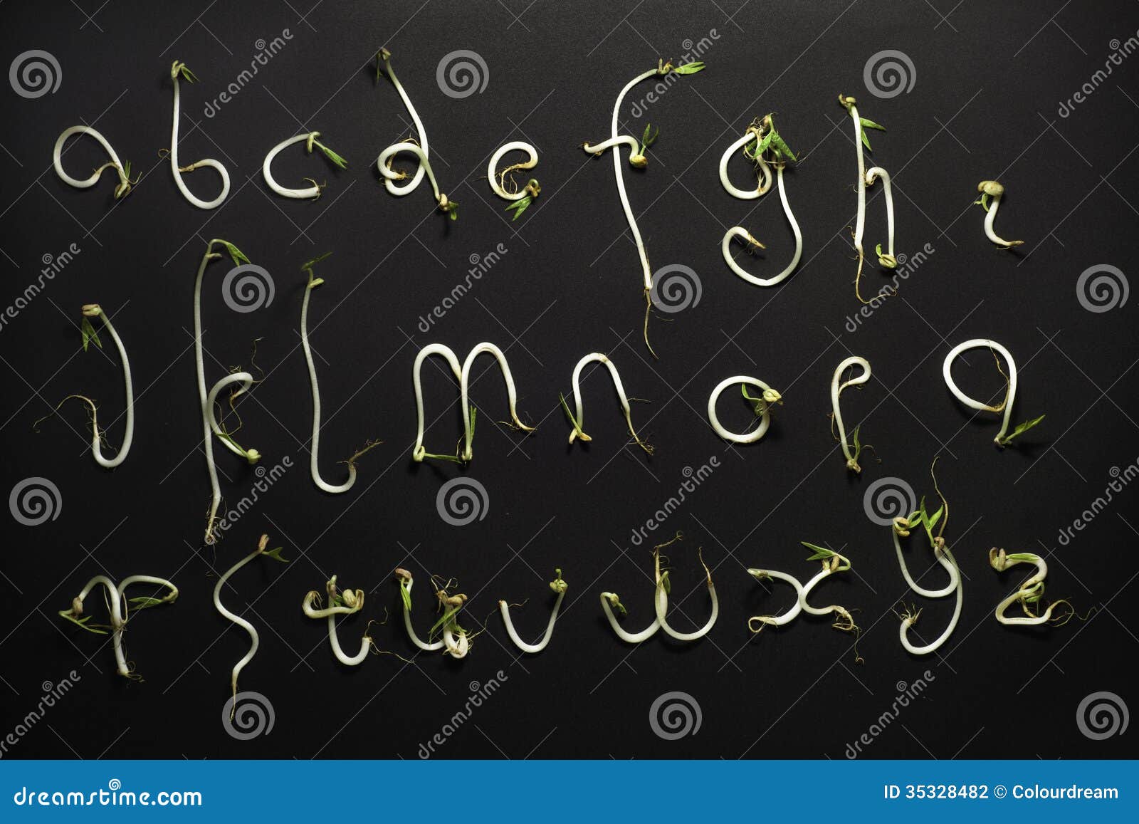 Bean sprouts letters stock photo. Image of sprouts, lowercase - 35328482