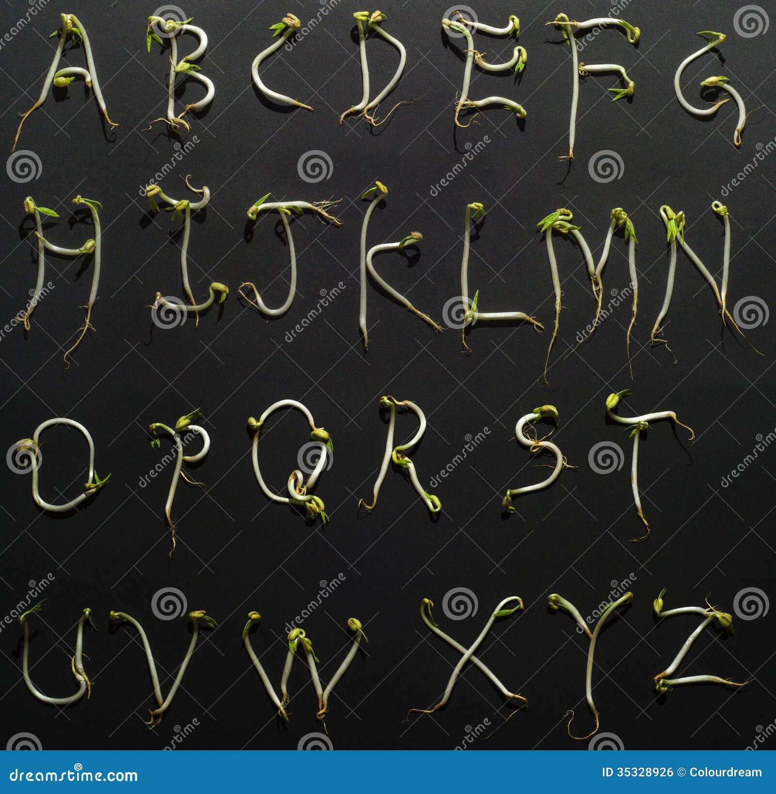 Bean sprouts letters stock photo. Image of uppercase - 35328926