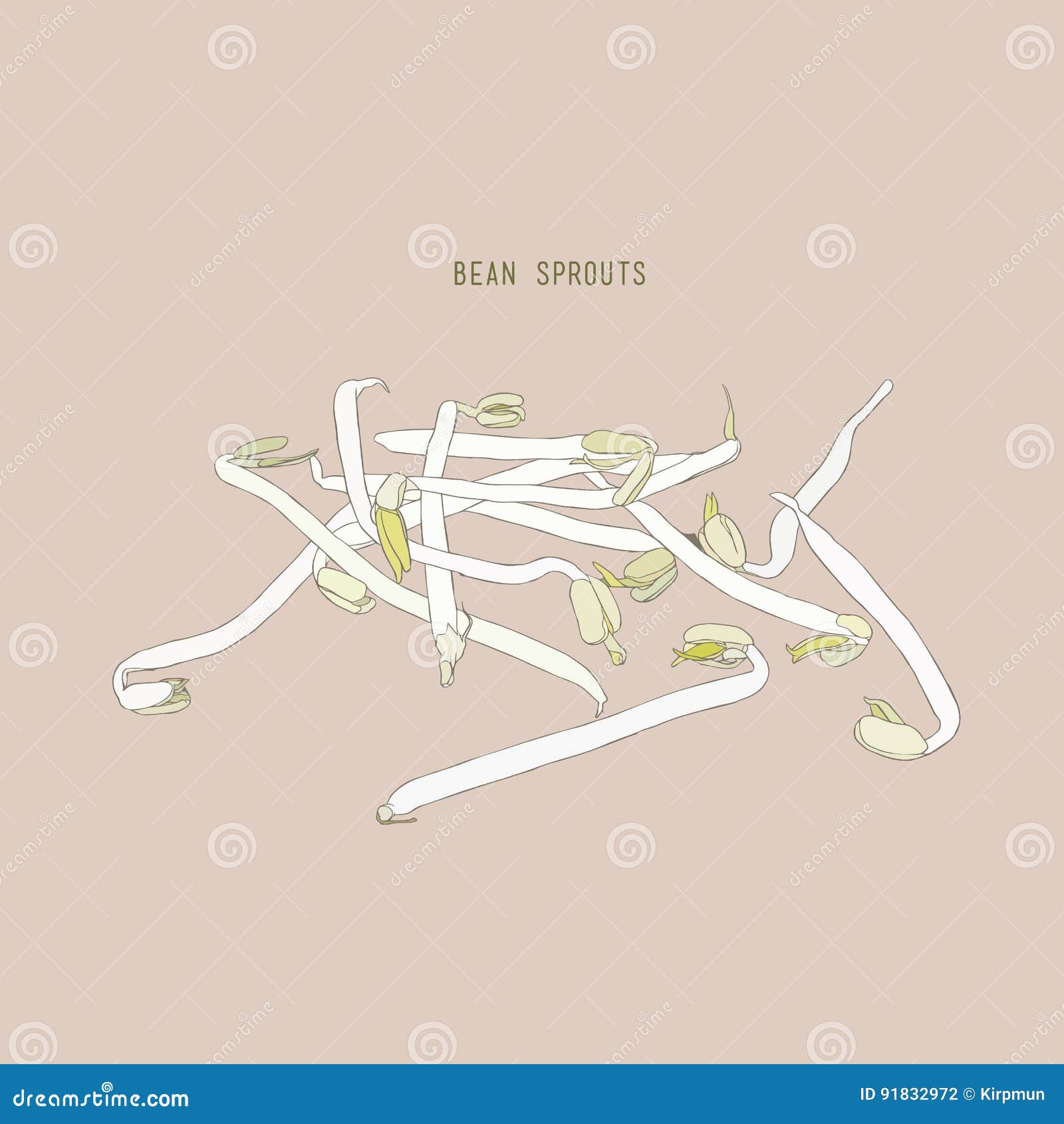 Bean Sprouts Sketch Vector. Stock Vector - Illustration of bean, growth ...