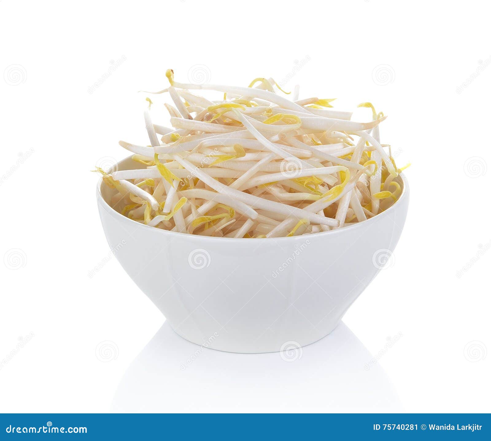 Bean Sprouts on White Background Stock Image - Image of soybean, sprout ...