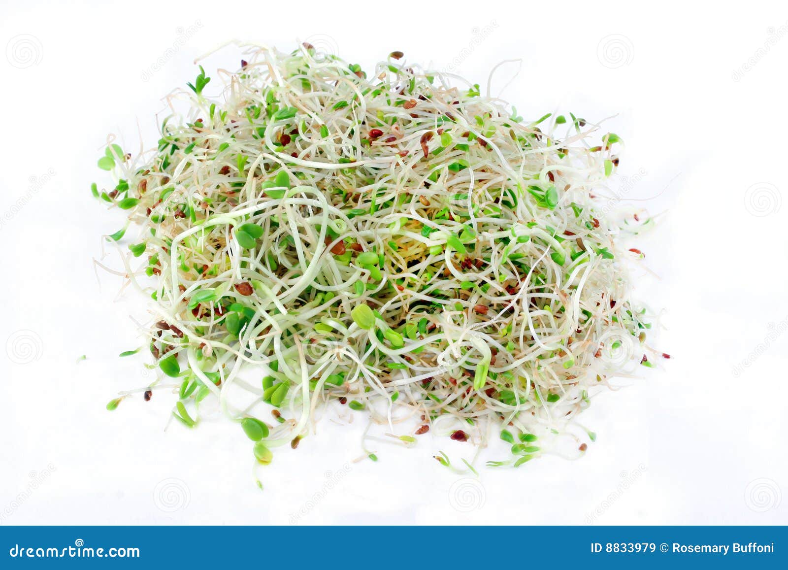 Bean Sprouts Texture Stock Photo | CartoonDealer.com #53910540