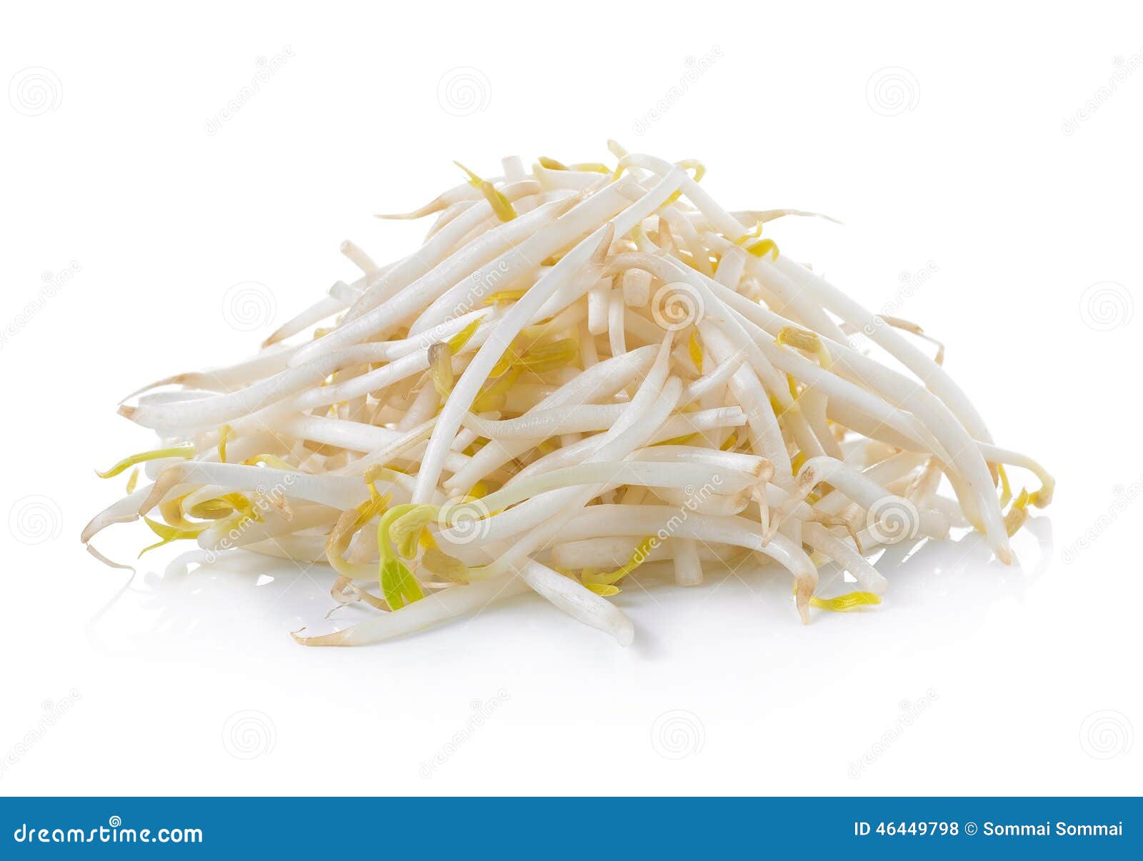 Bean Sprouts on White Background Stock Photo - Image of mung, organic ...