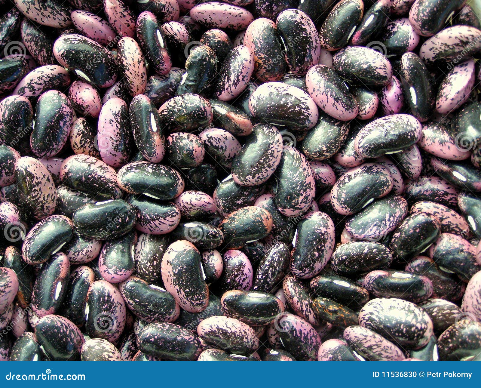 Bean texture stock photo. Image of fare, detail, abstract - 11536830