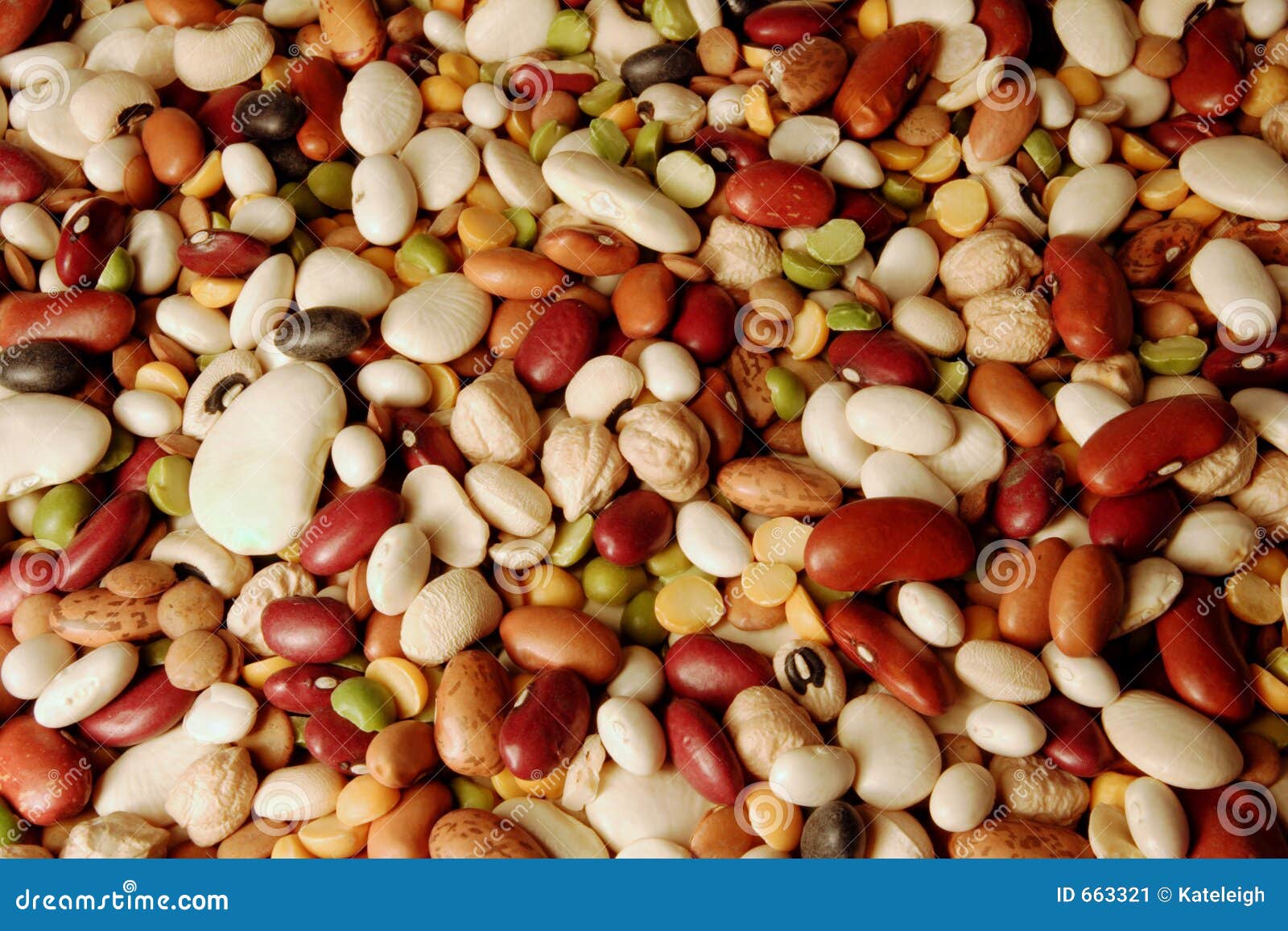 Bean Variety Background stock image. Image of pinto, organic - 663321