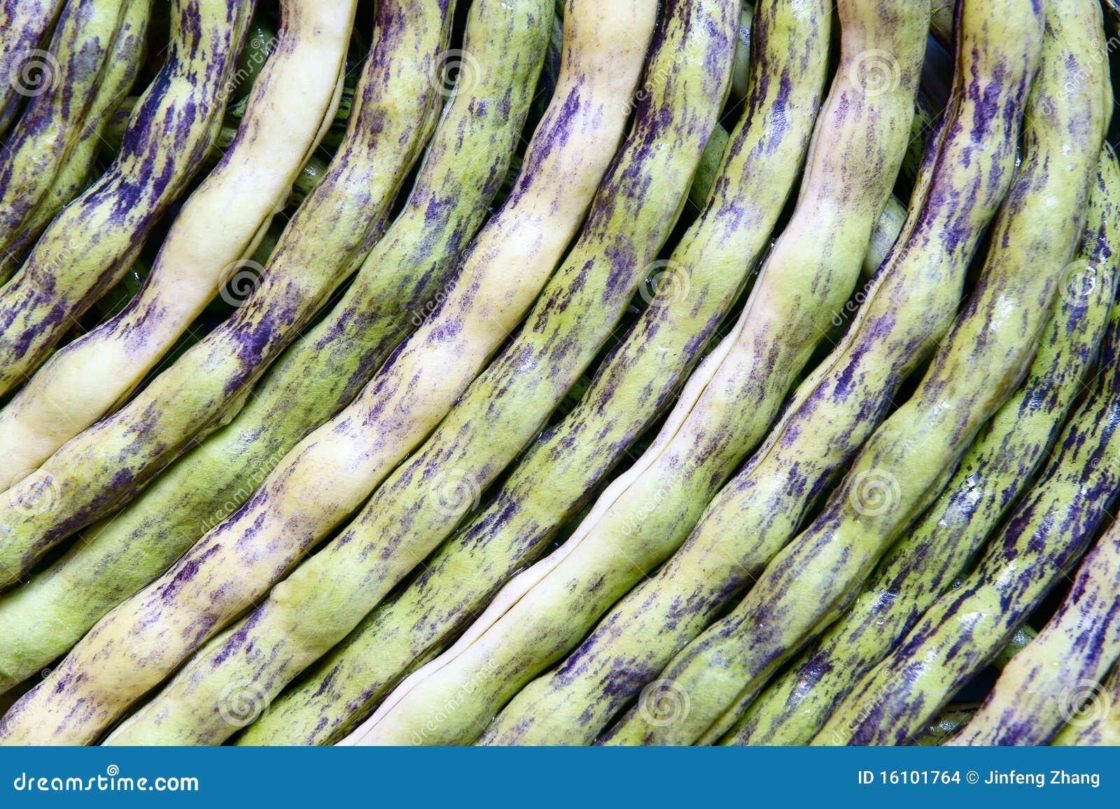 Beanpod stock photo. Image of food, vegetables, legume - 16101764