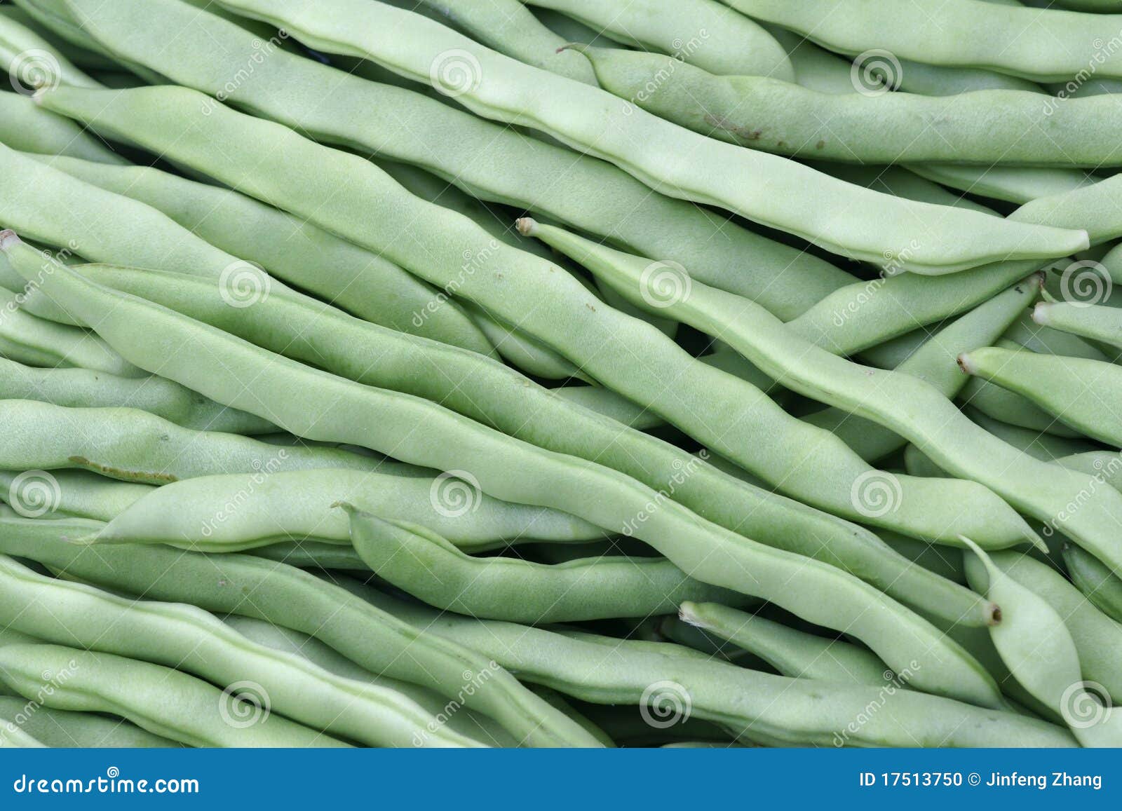 Beanpods stock photo. Image of vegetables, food, healthy - 17513750
