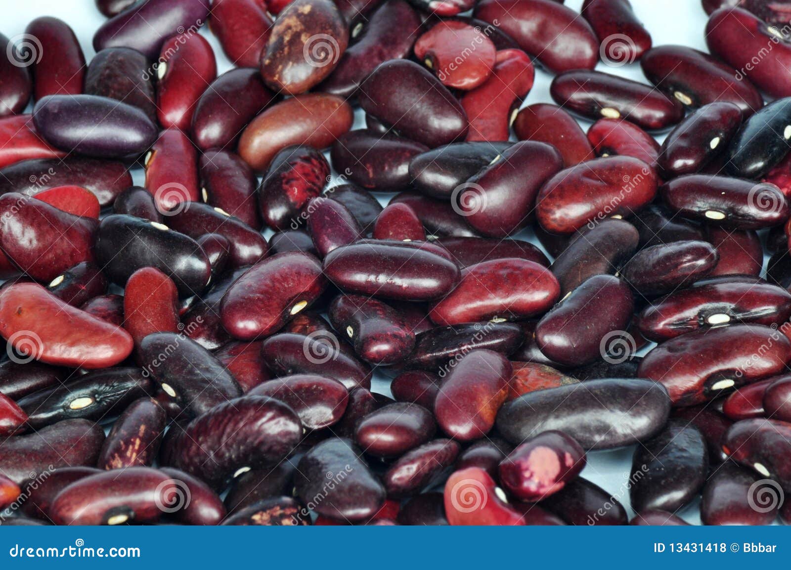 Beans stock photo. Image of grain, beans, detail, close - 13431418