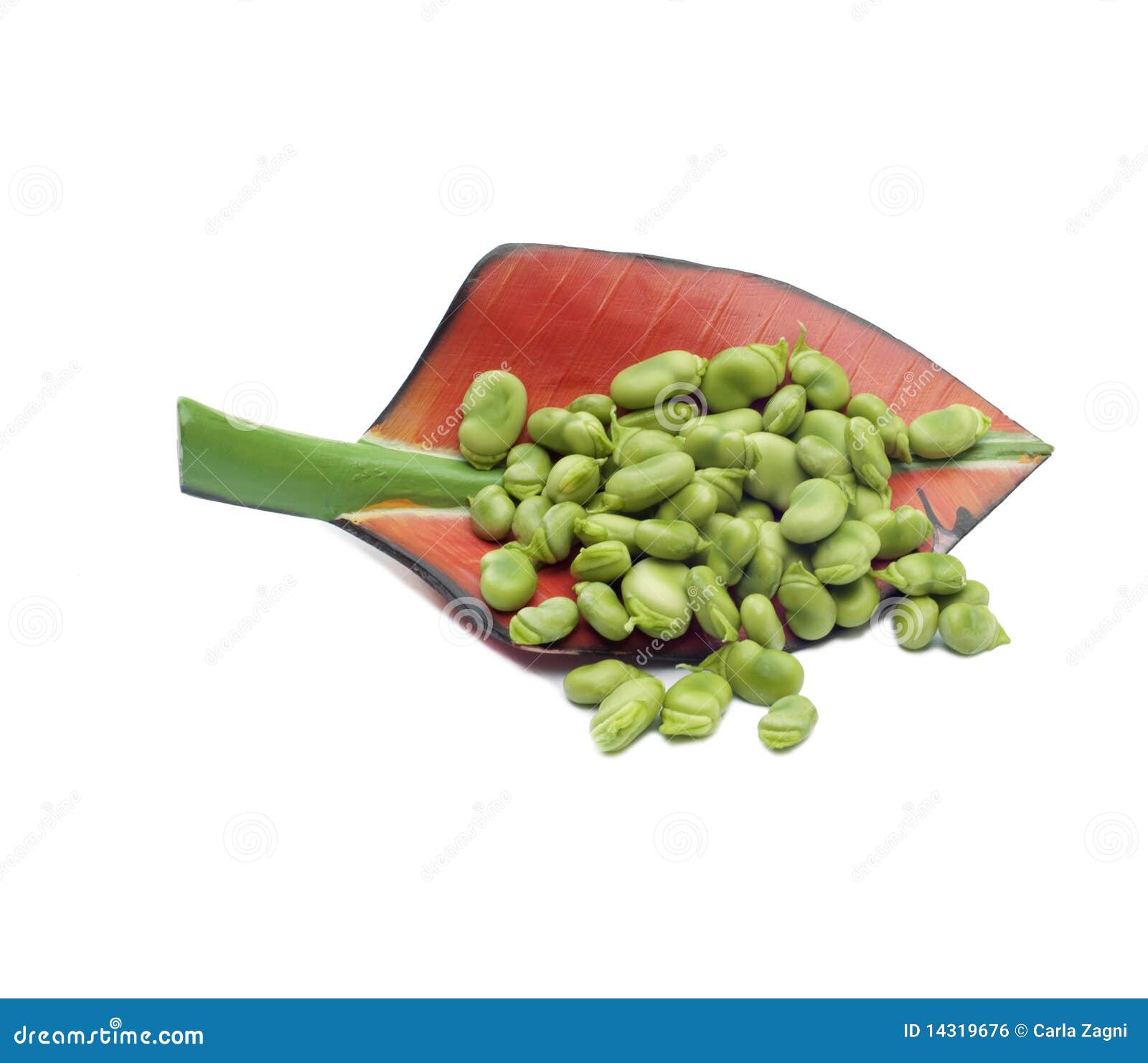 Beans stock photo. Image of trash, vegetable, beans, white - 14319676