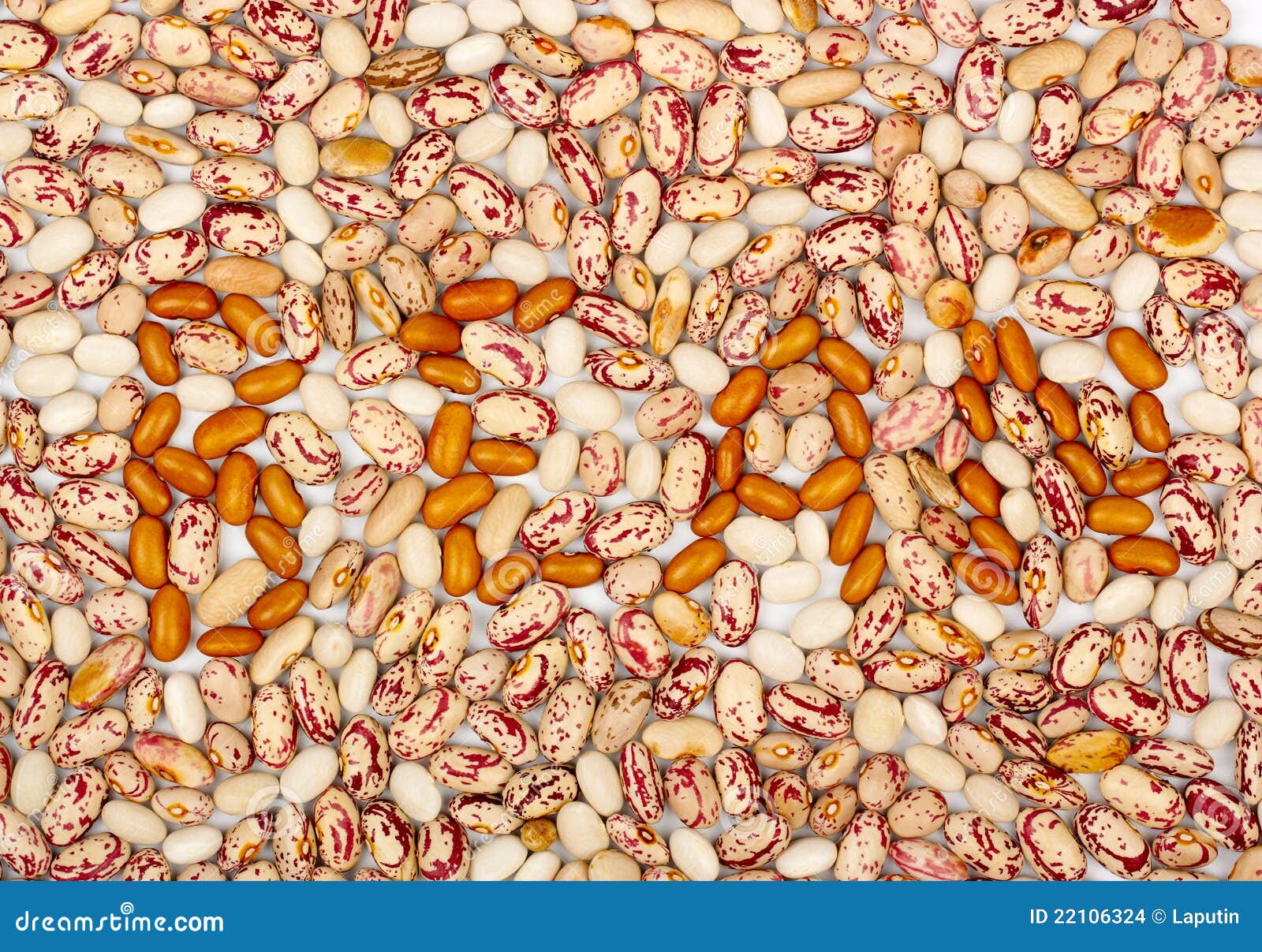 Beans stock photo. Image of backdrop, group, grain, natural - 22106324