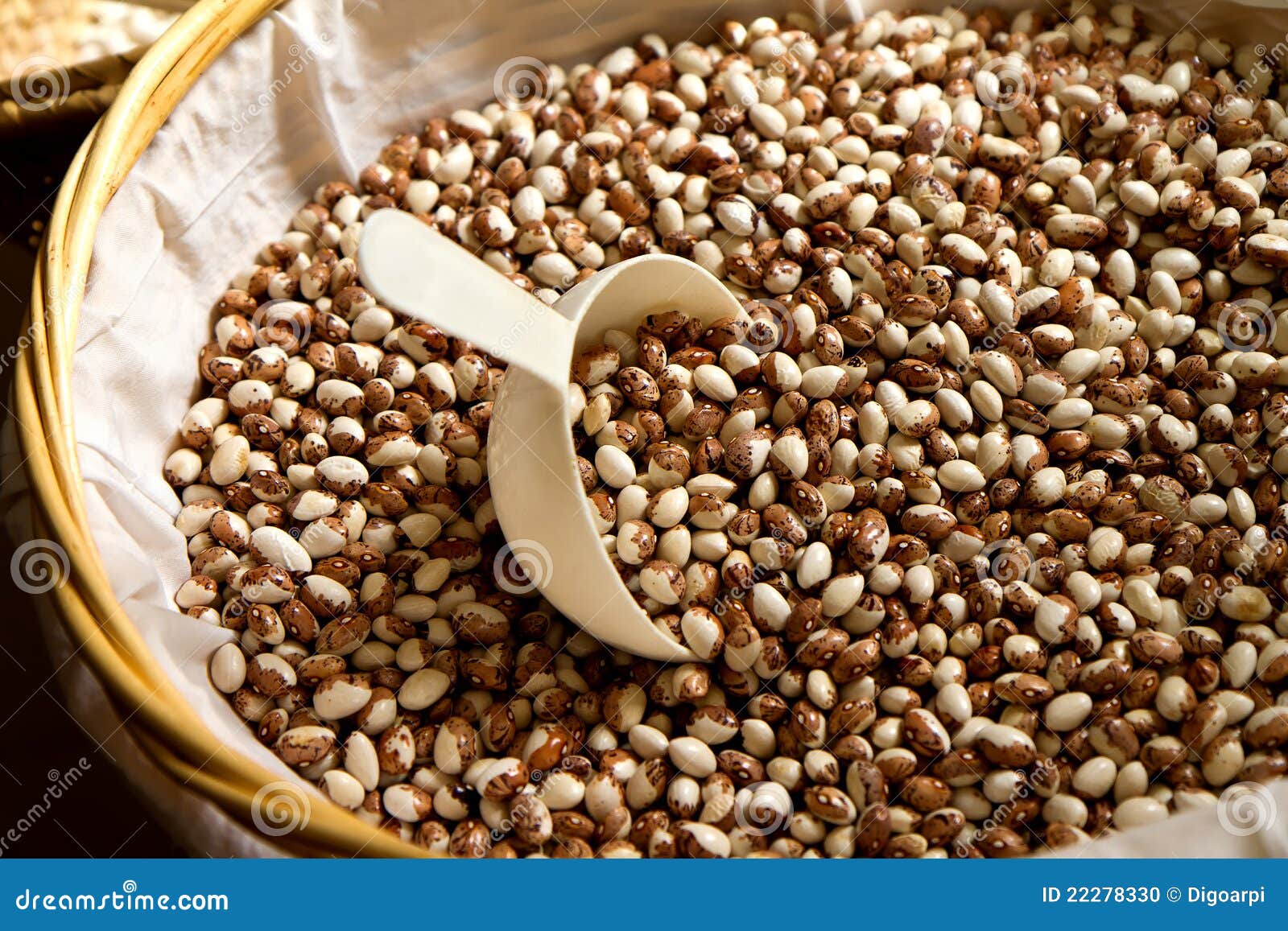 Beans stock photo. Image of legume, harvest, nutritious - 22278330