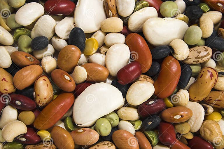 Beans stock photo. Image of natural, market, organic, plant - 472444