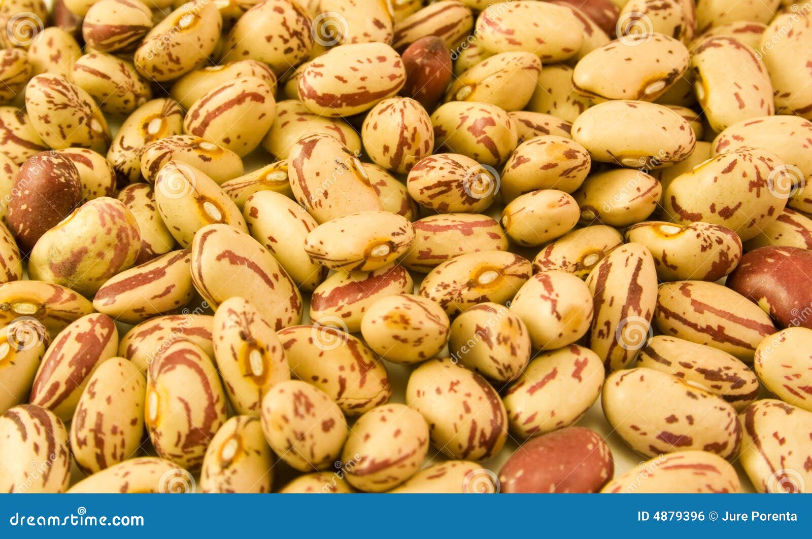 Beans stock photo. Image of cooking, food, beans, brown - 4879396