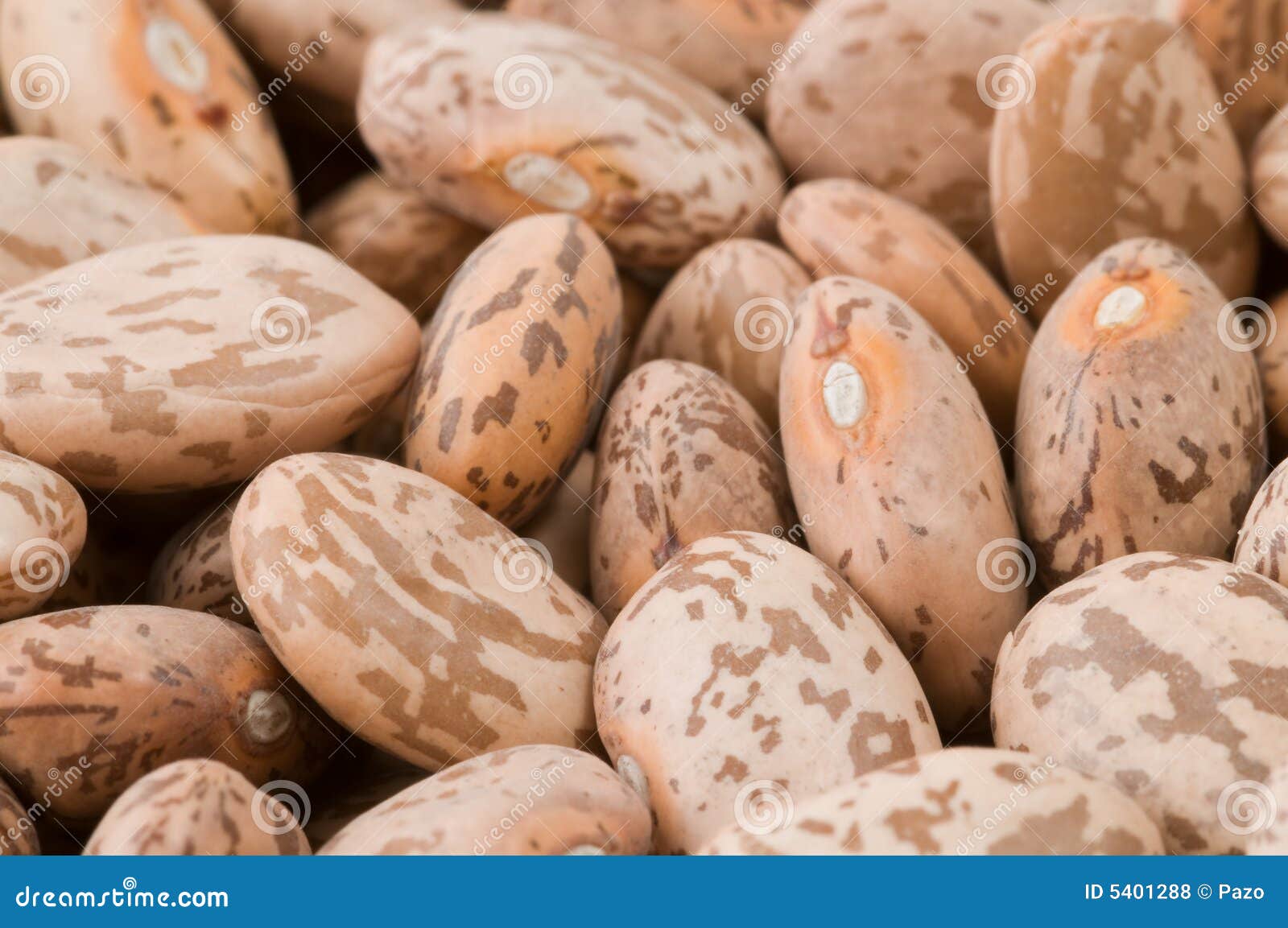 Beans stock photo. Image of close, texture, organic, food - 5401288
