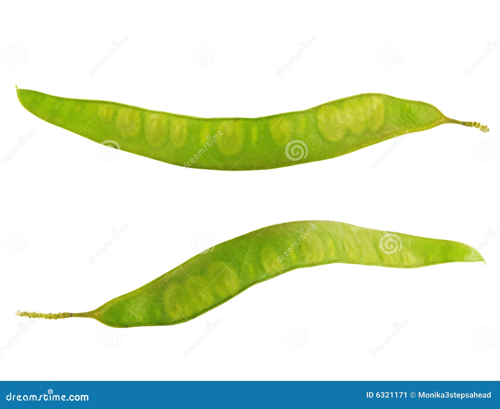 Beans stock image. Image of seed, beans, nutrition, vegetables - 6321171
