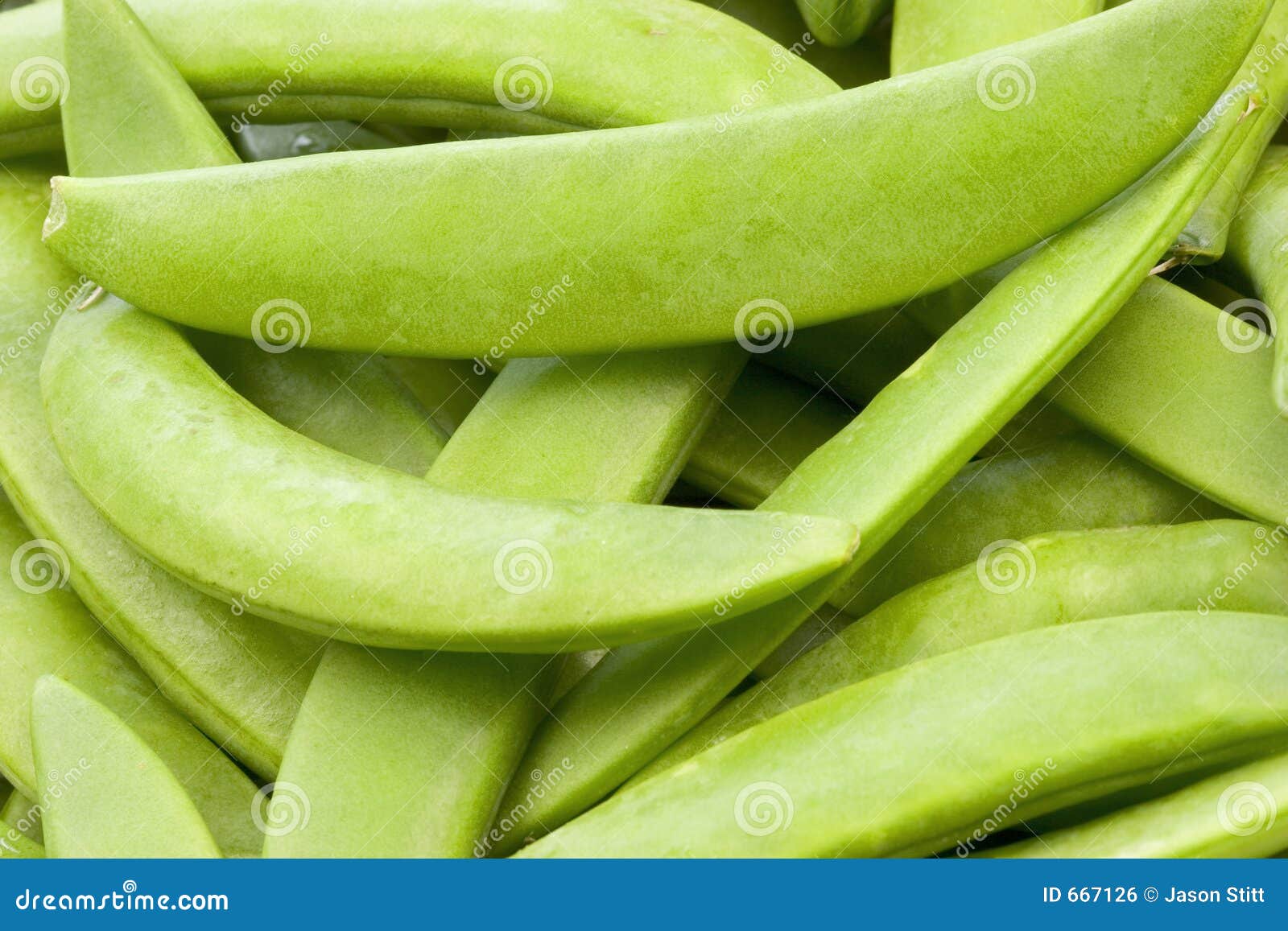 Beans stock photo. Image of beans, vegetables, veges, green - 667126