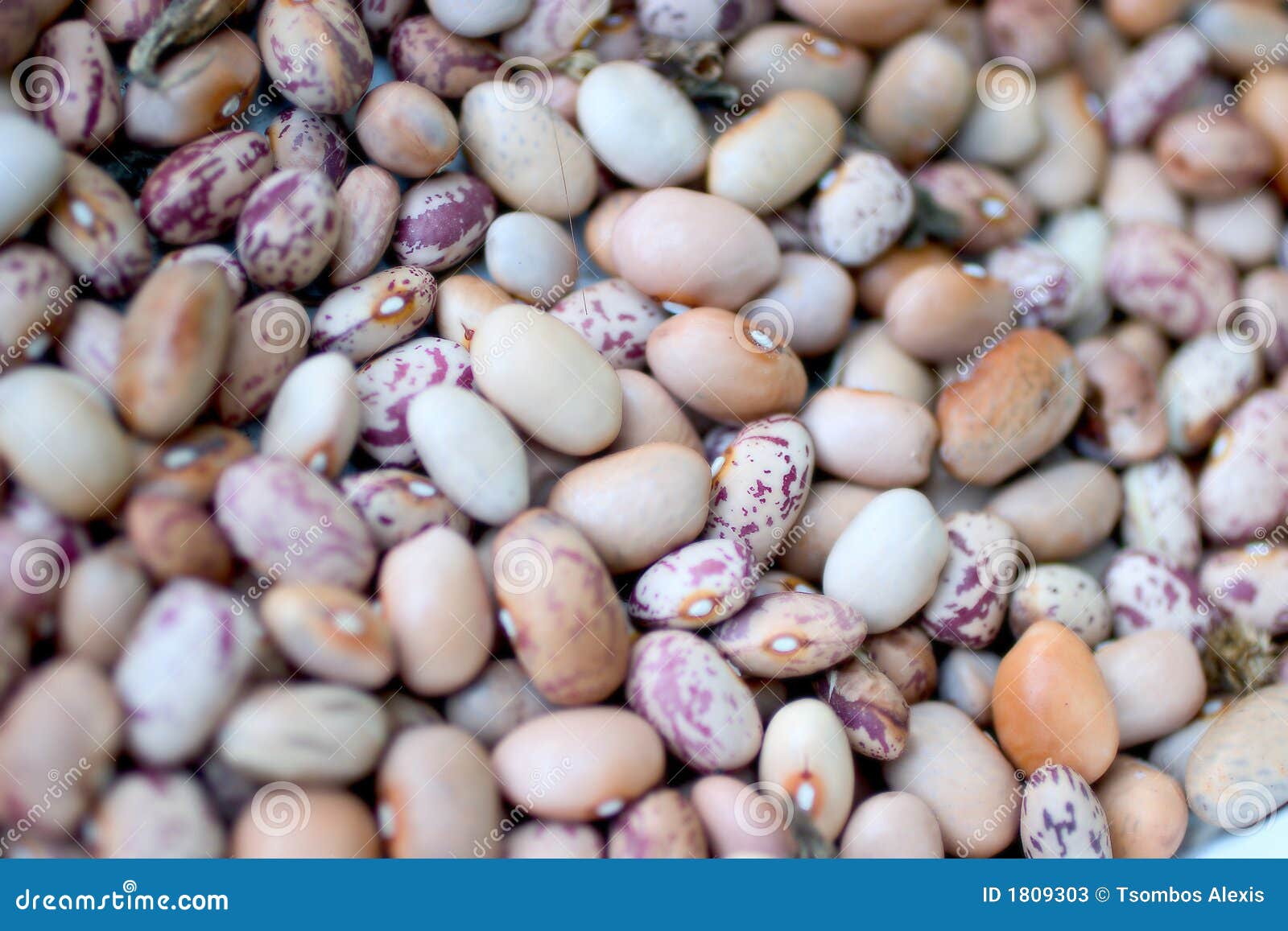 Beans background stock image. Image of cultivate, money - 1809303