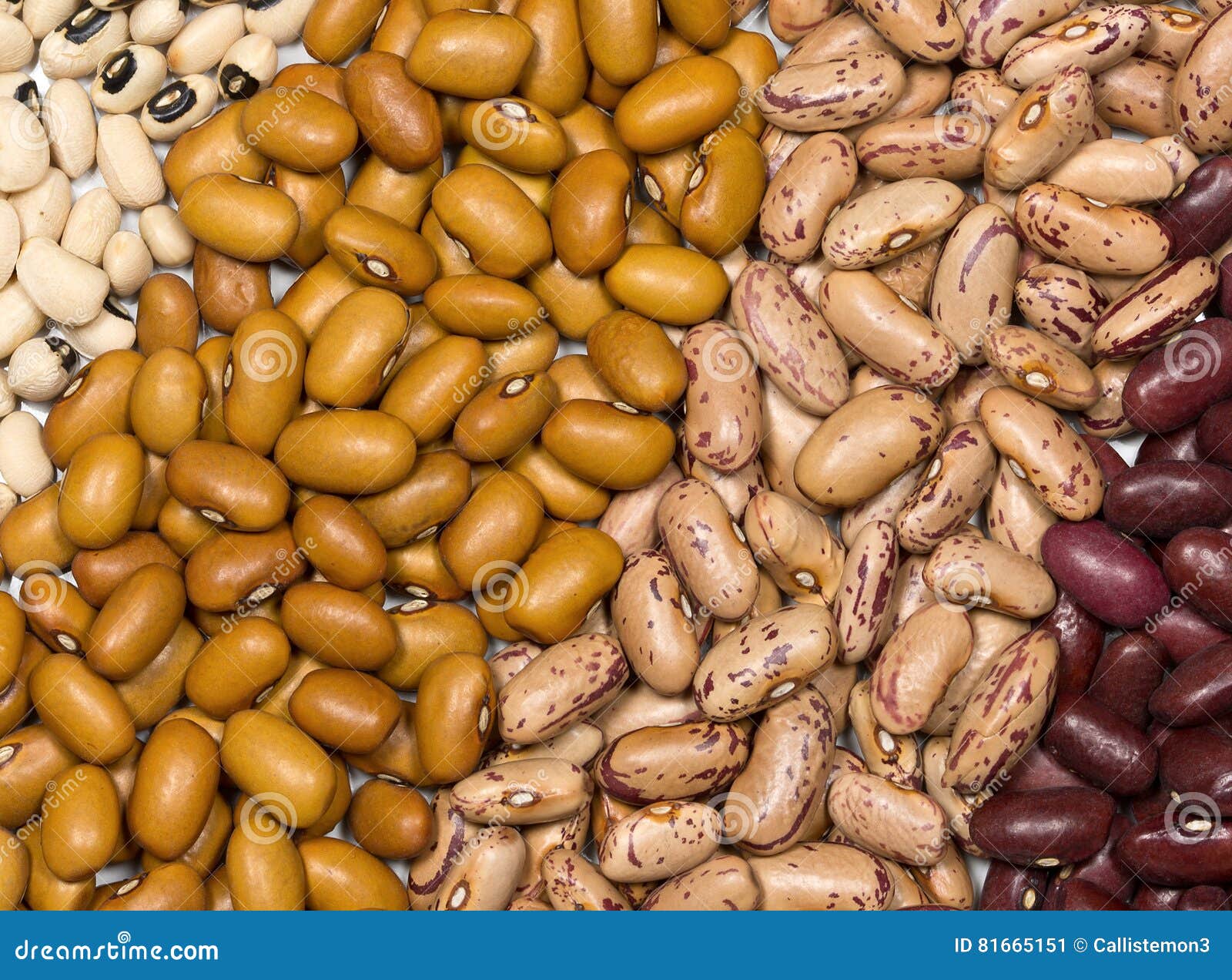 Beans for background stock image. Image of closeup, brown - 81665151