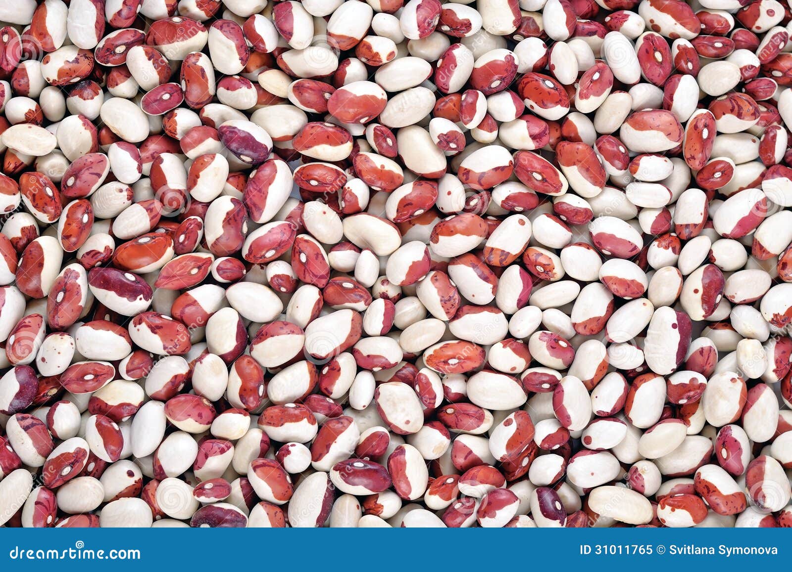 Beans background stock image. Image of healthy, dried - 31011765