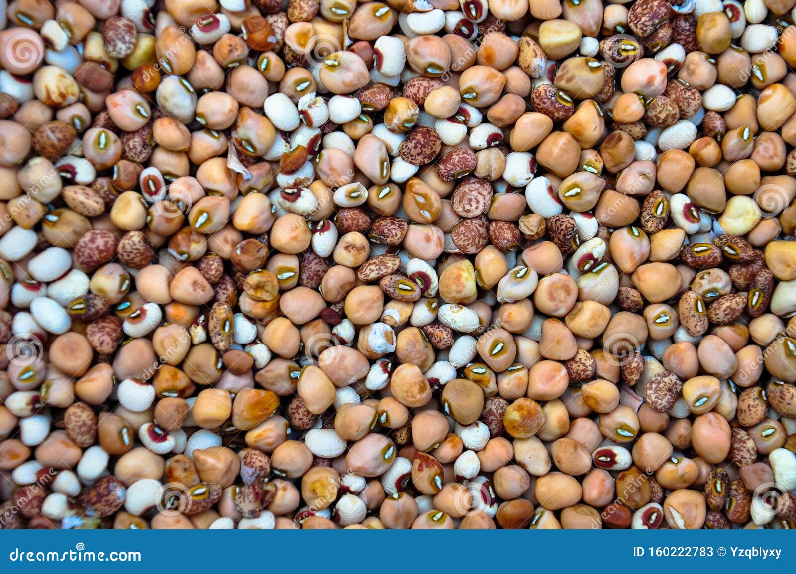 Beans backgrounds stock image. Image of ingredient, corns - 160222783