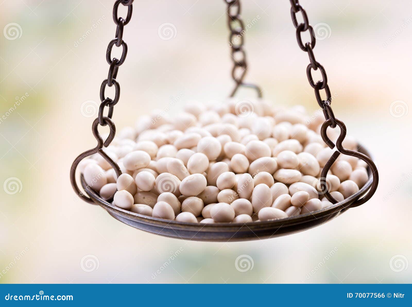 Beans in balance scale stock photo. Image of bean, healthy - 70077566