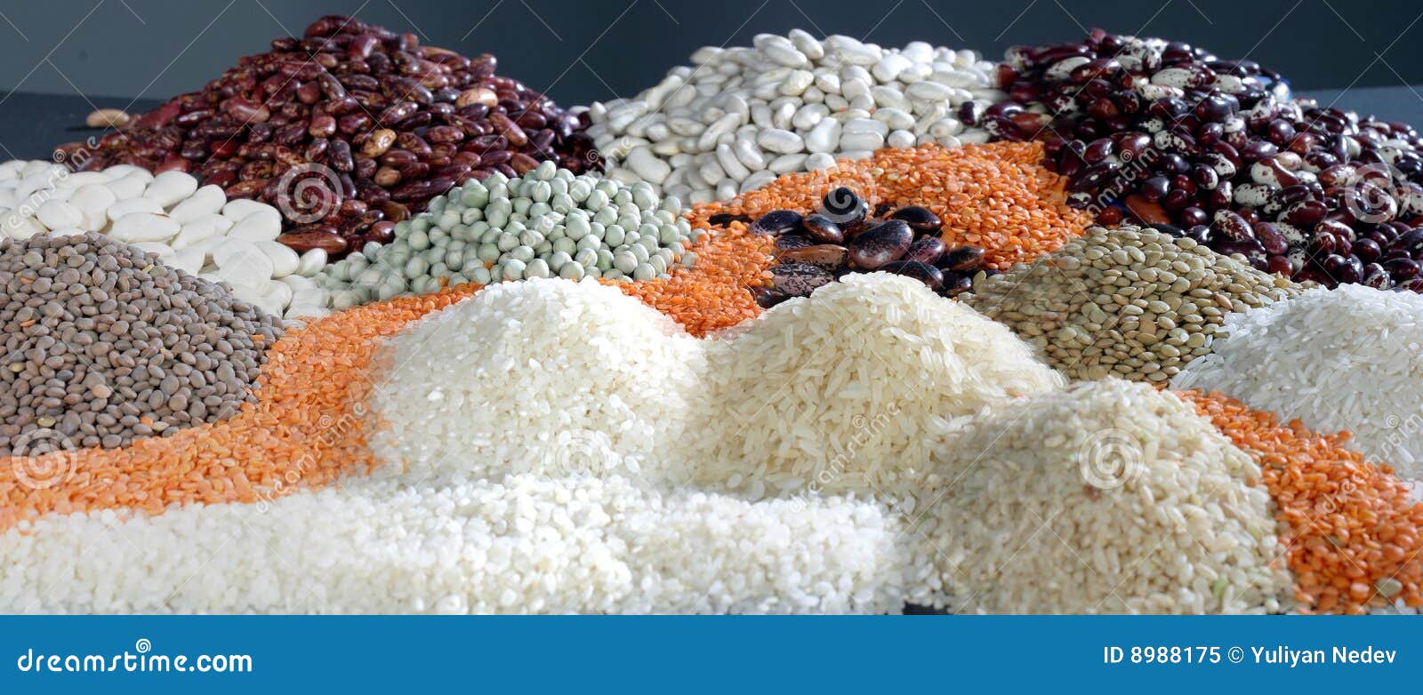 Beans and cereals stock image. Image of white, corns, food - 8988175