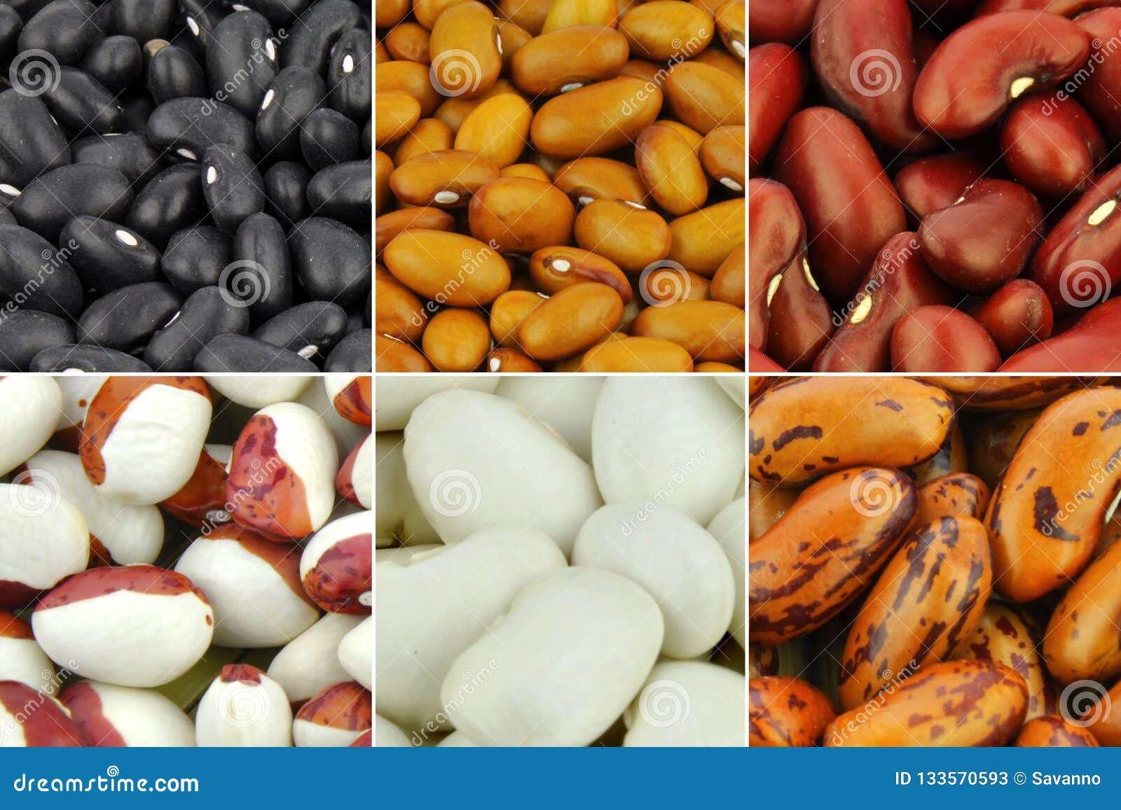 Beans - Collection of Different Varieties Stock Image - Image of ...