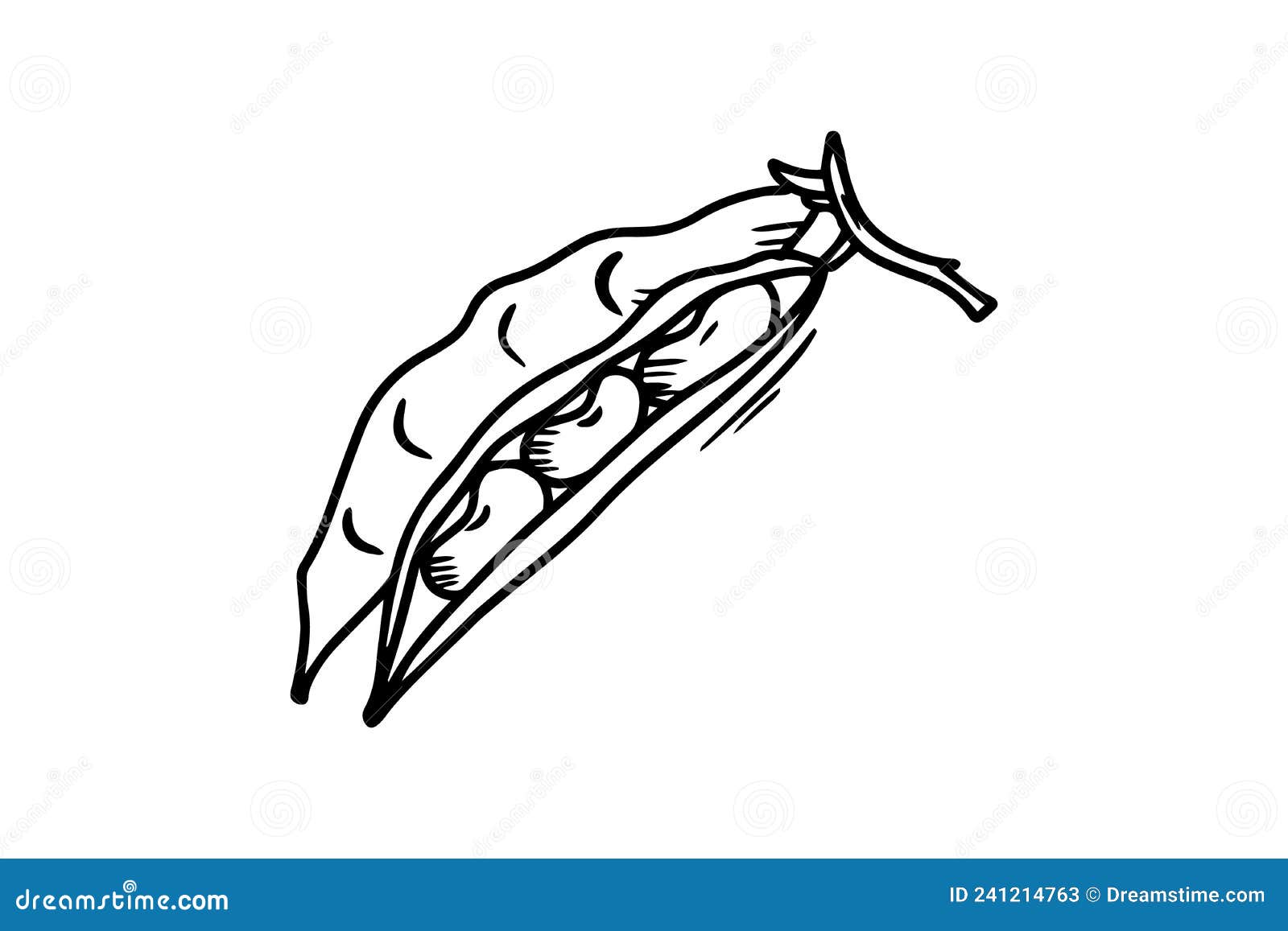 Beans Drawn with a Black Outline. Vector Graphics Stock Vector ...