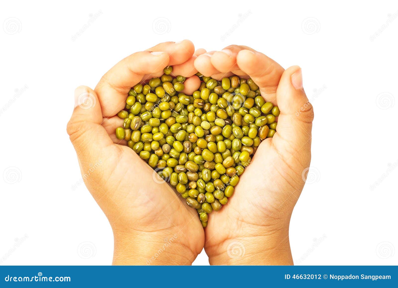Beans (grain) in Hand in Isolate on White. Stock Photo - Image of hand ...