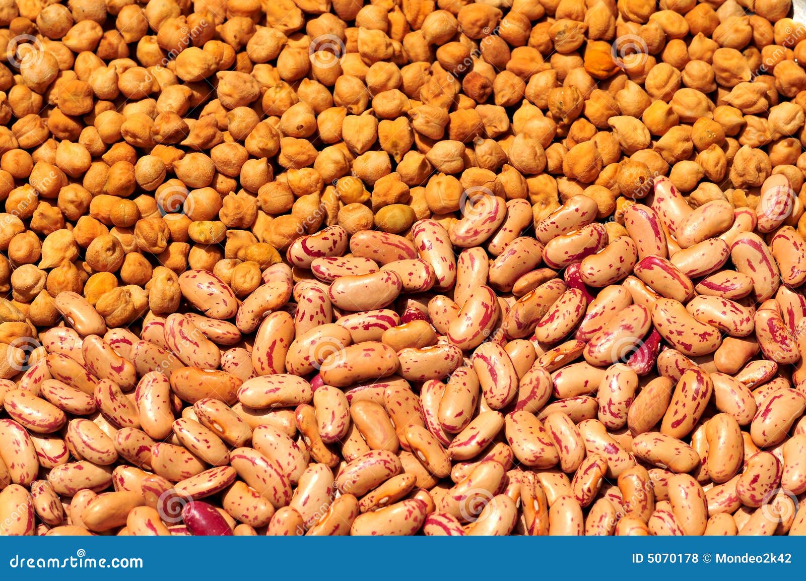 Beans and grams stock photo. Image of grow, detail, food - 5070178