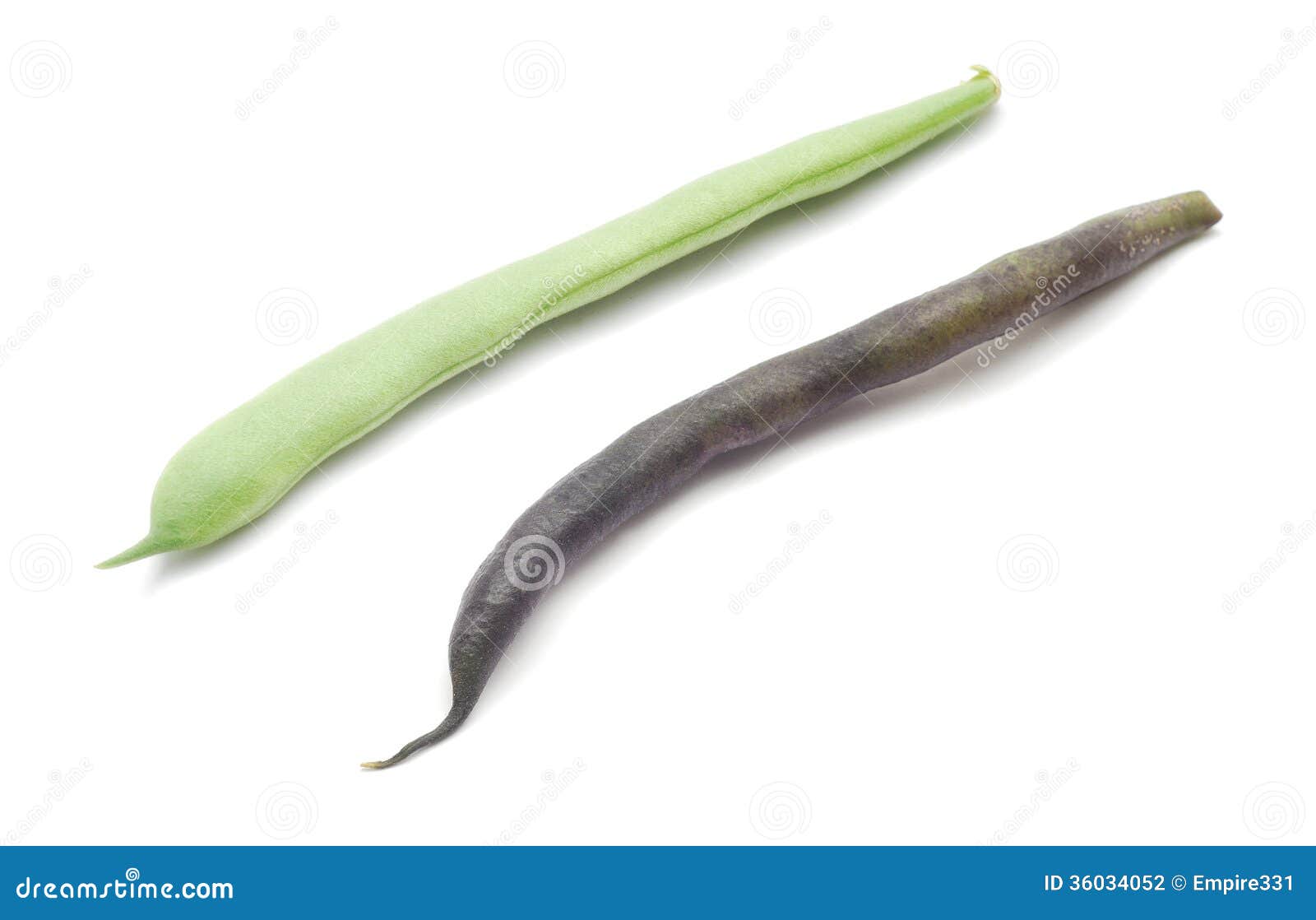 Beans stock photo. Image of vegetable, husk, pods, beans - 36034052