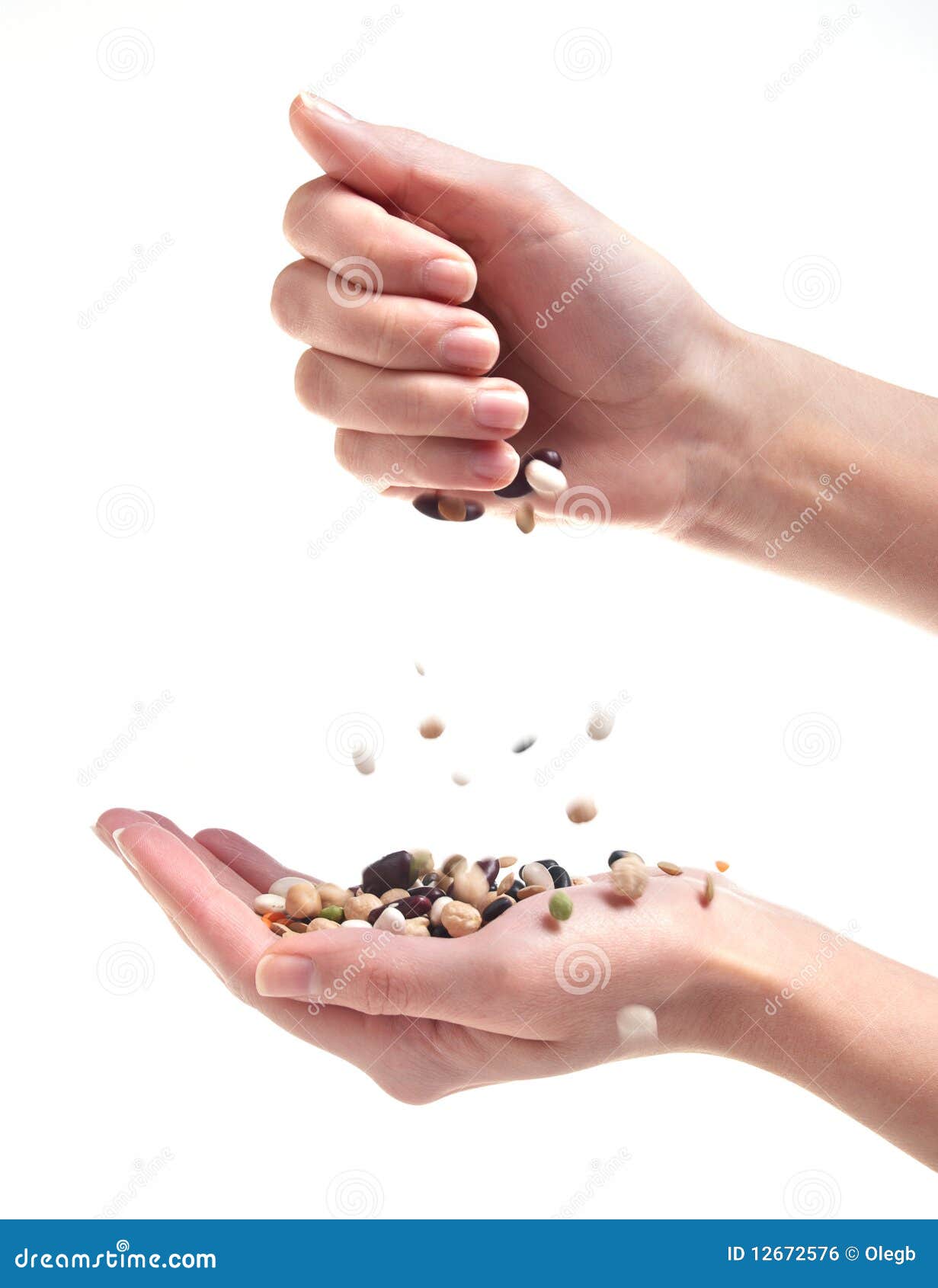 Beans in Hands stock photo. Image of food, hand, crop - 12672576