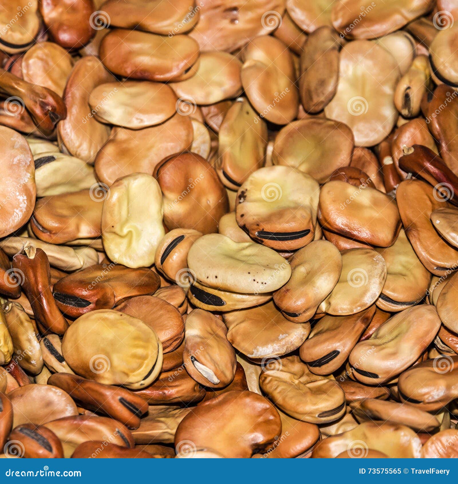 Beans (haricot) Close Up Backgrond Stock Image - Image of ingredient ...