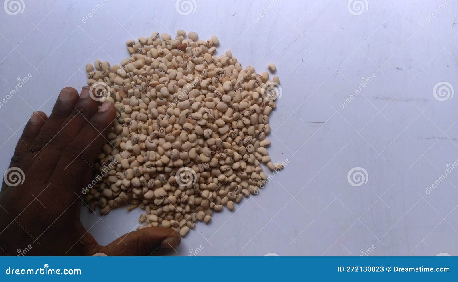 Beans for healthy living stock image. Image of ingredients - 272130823