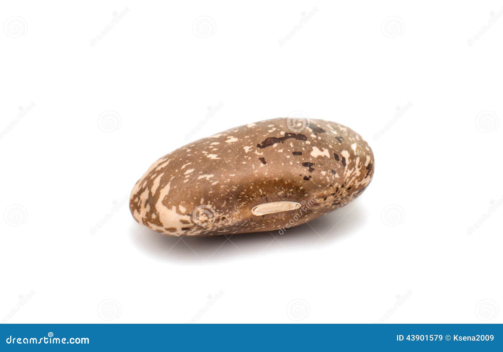 Beans isolated stock image. Image of healthy, mung, food - 43901579