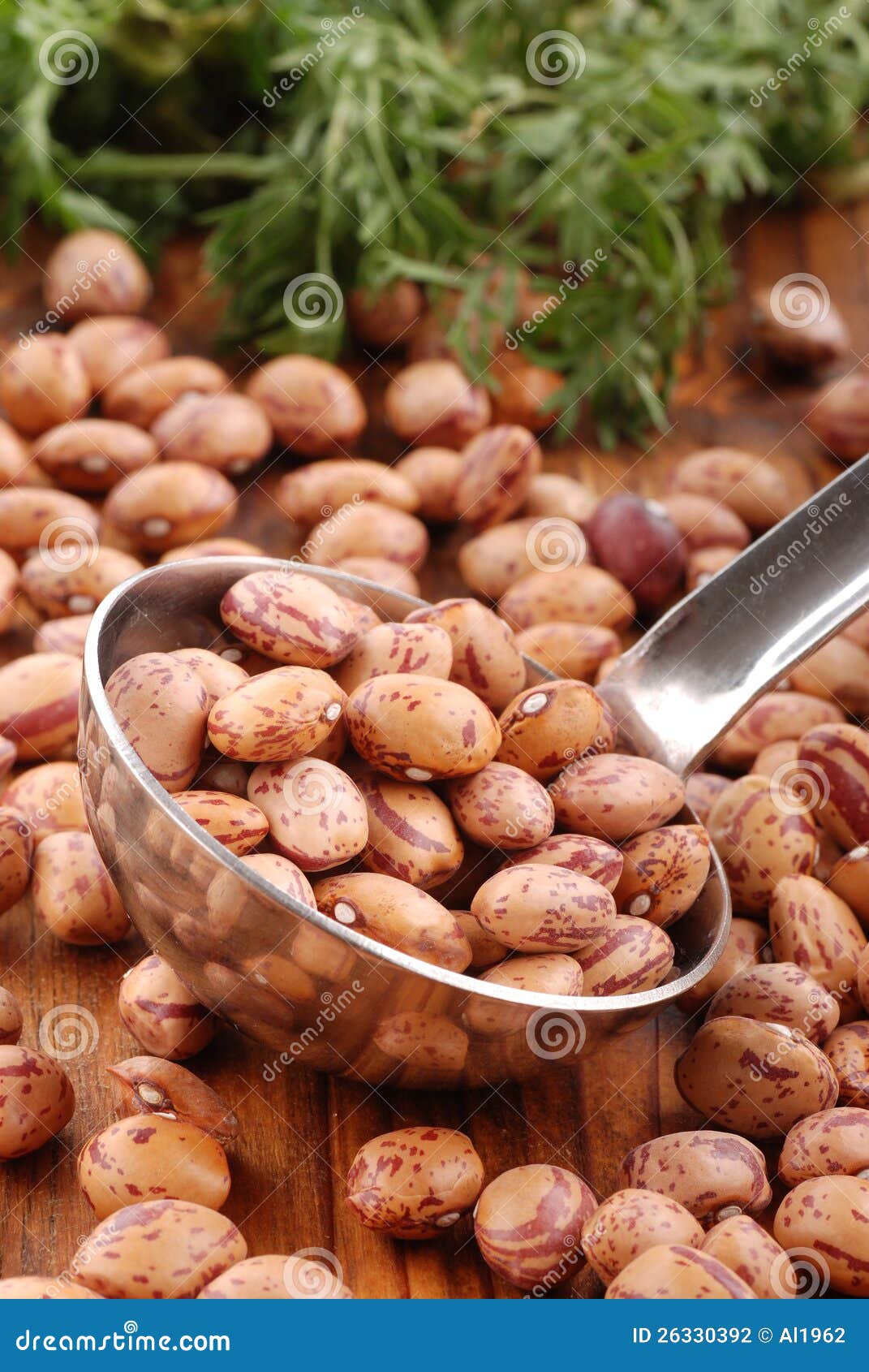 Beans in a ladle of steel stock photo. Image of group - 26330392