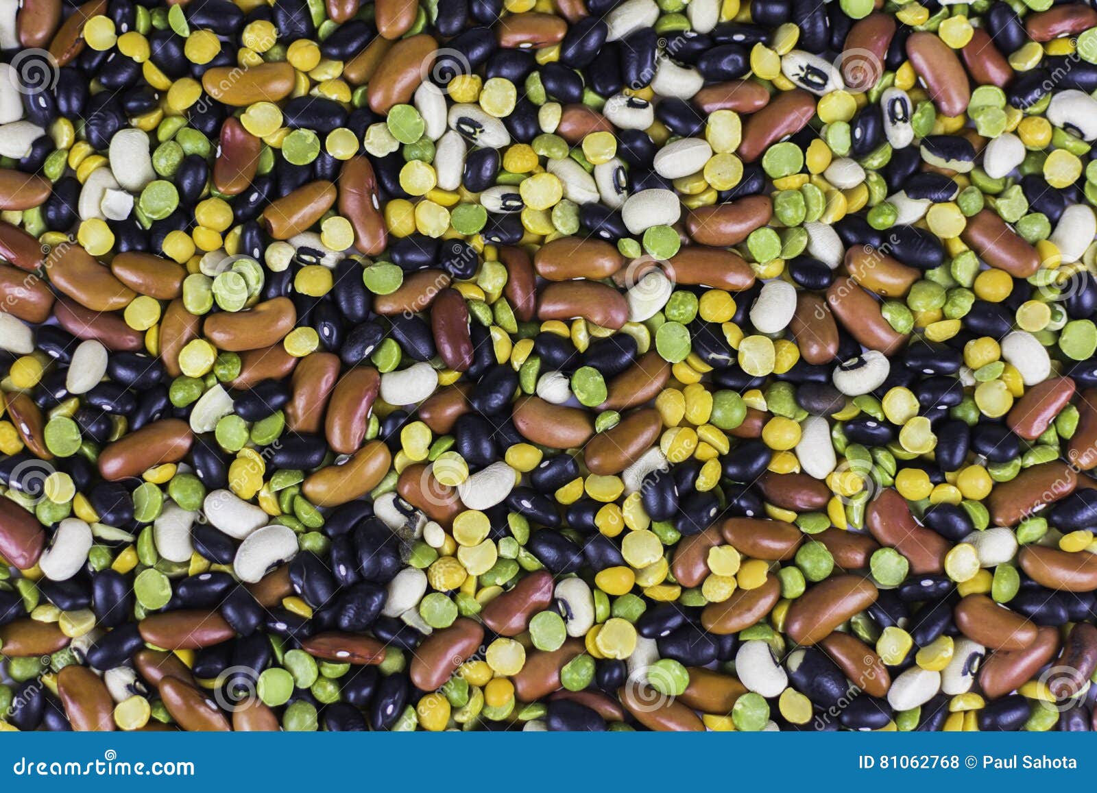 Beans in Many Shapes Sizes and Colors Stock Photo - Image of ...